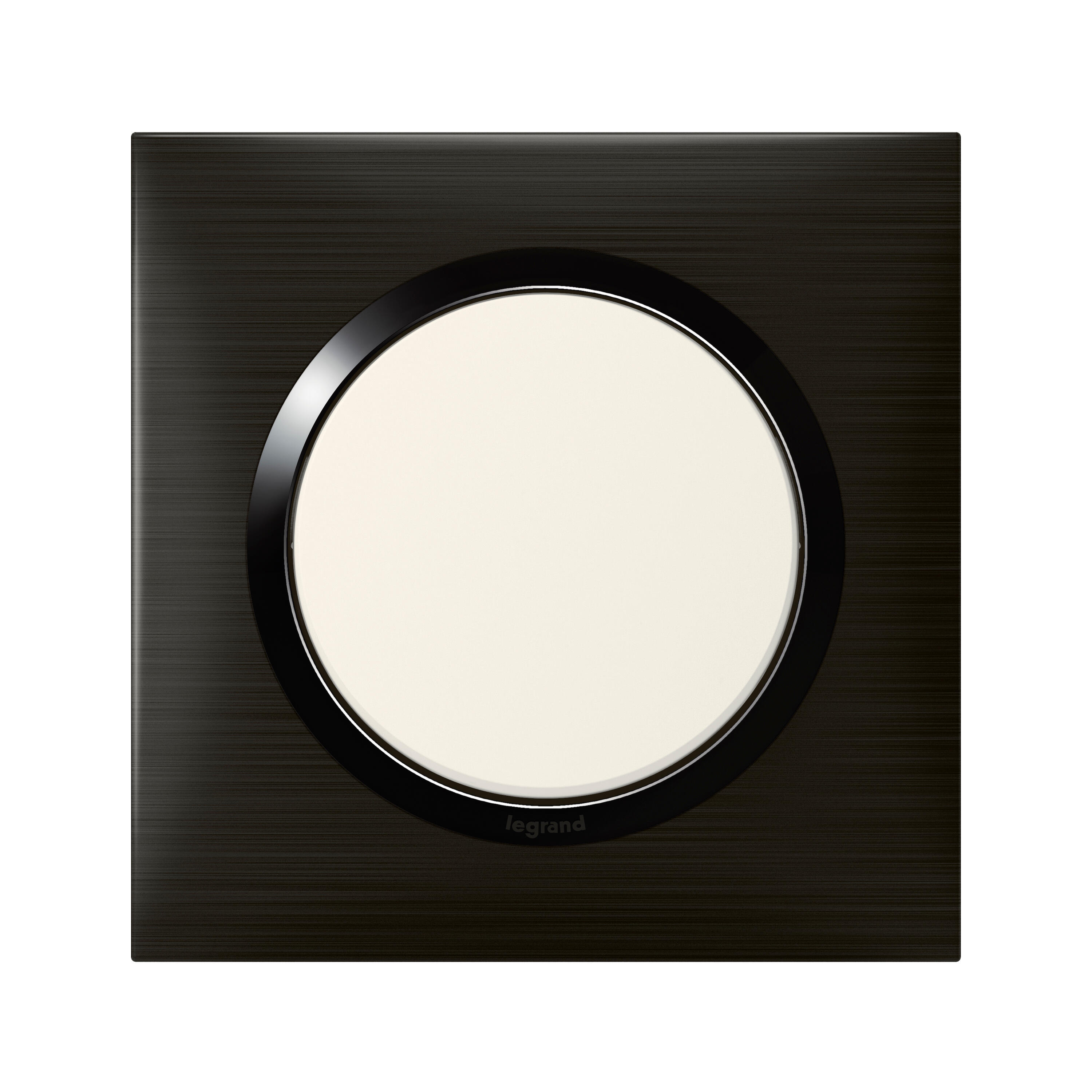 Plaque simple Dooxie, LEGRAND, sombre brossé | Leroy Merlin