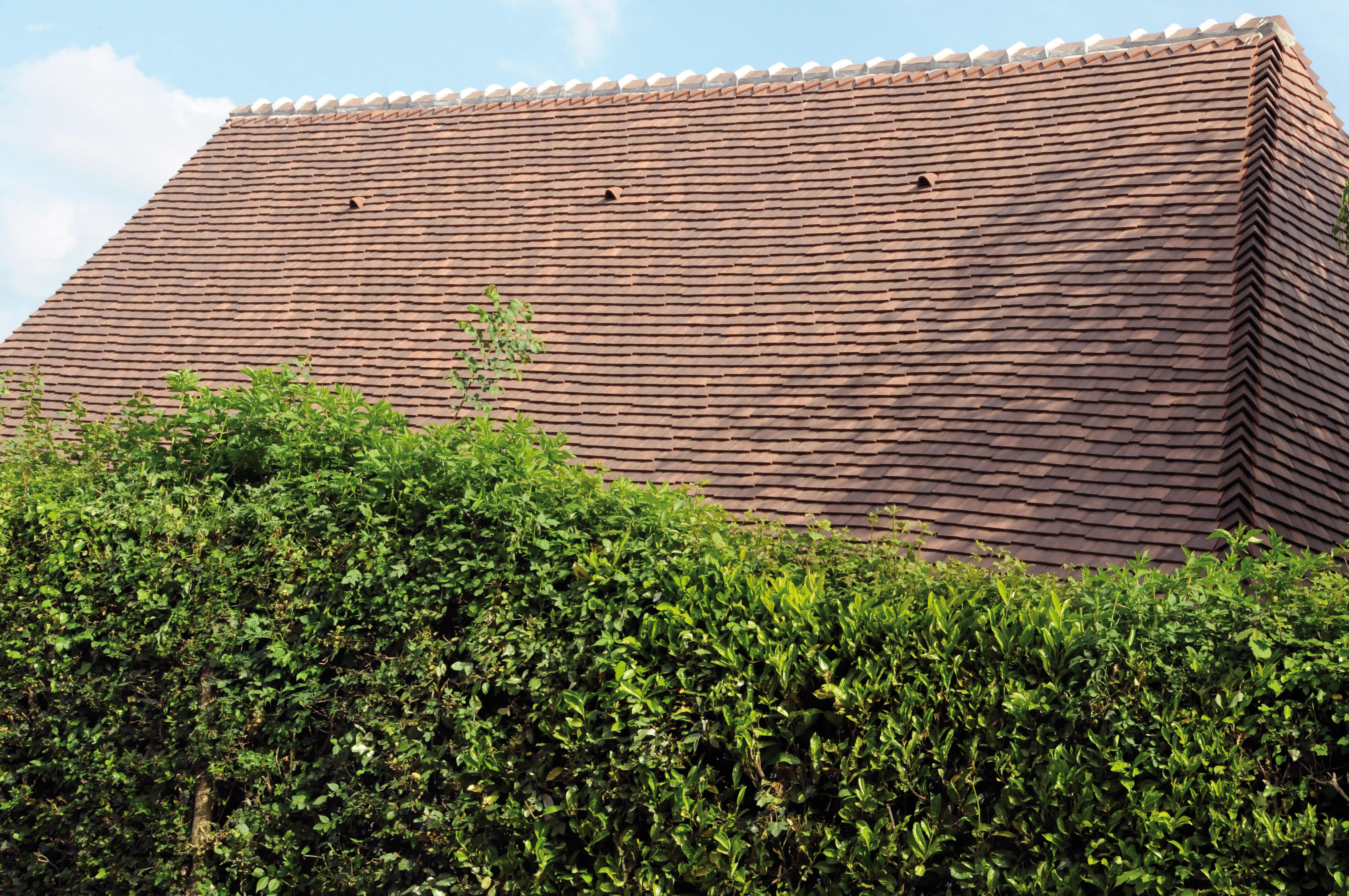 Tuile TERREAL sablé normand 1po | Leroy Merlin