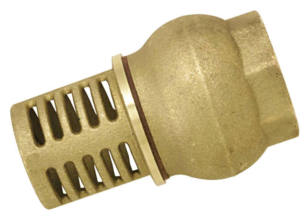 Clapet crépine BOUTTE 103553 | Leroy Merlin