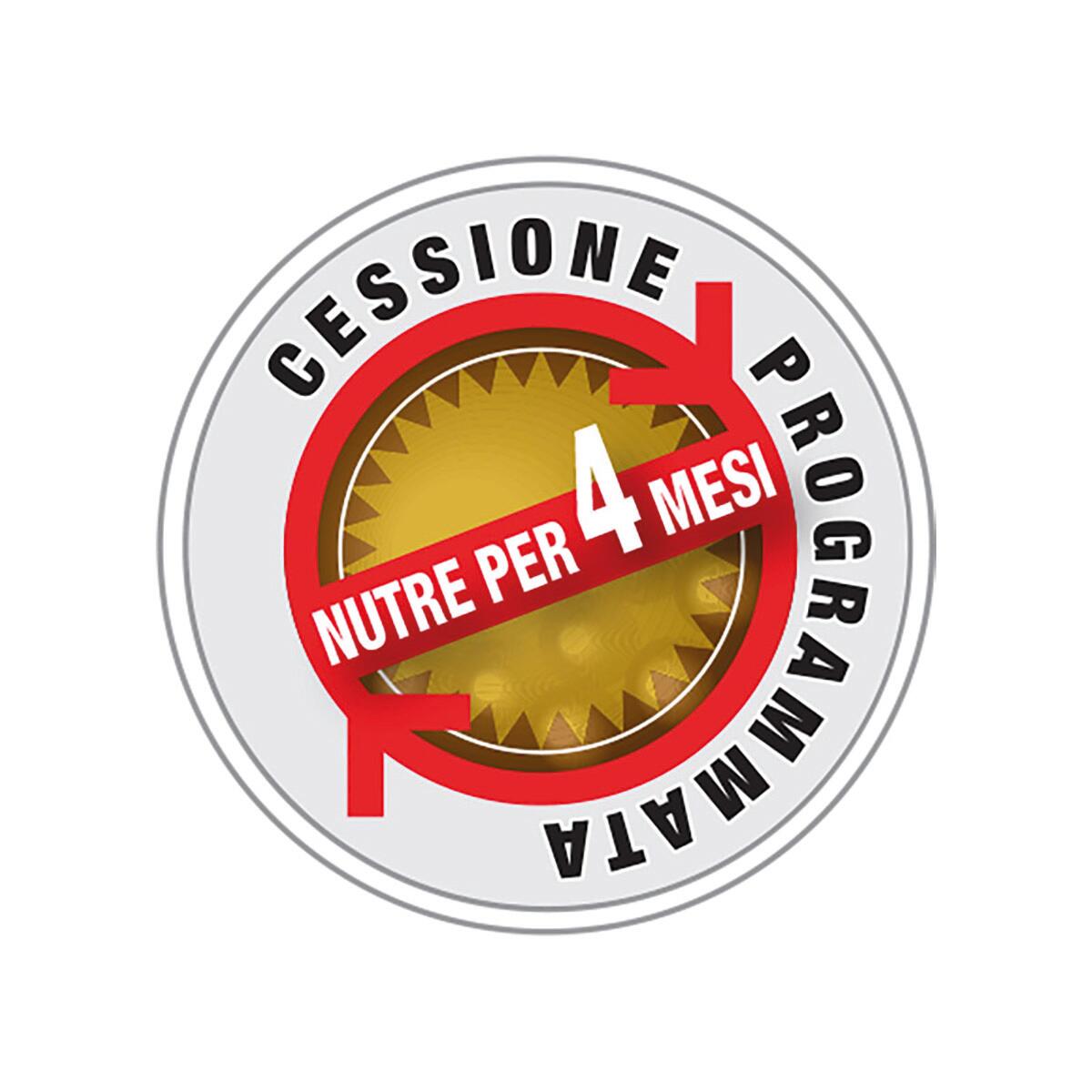 Concime granulato FLORTIS Prato mantenimento 4 kg | Leroy Merlin