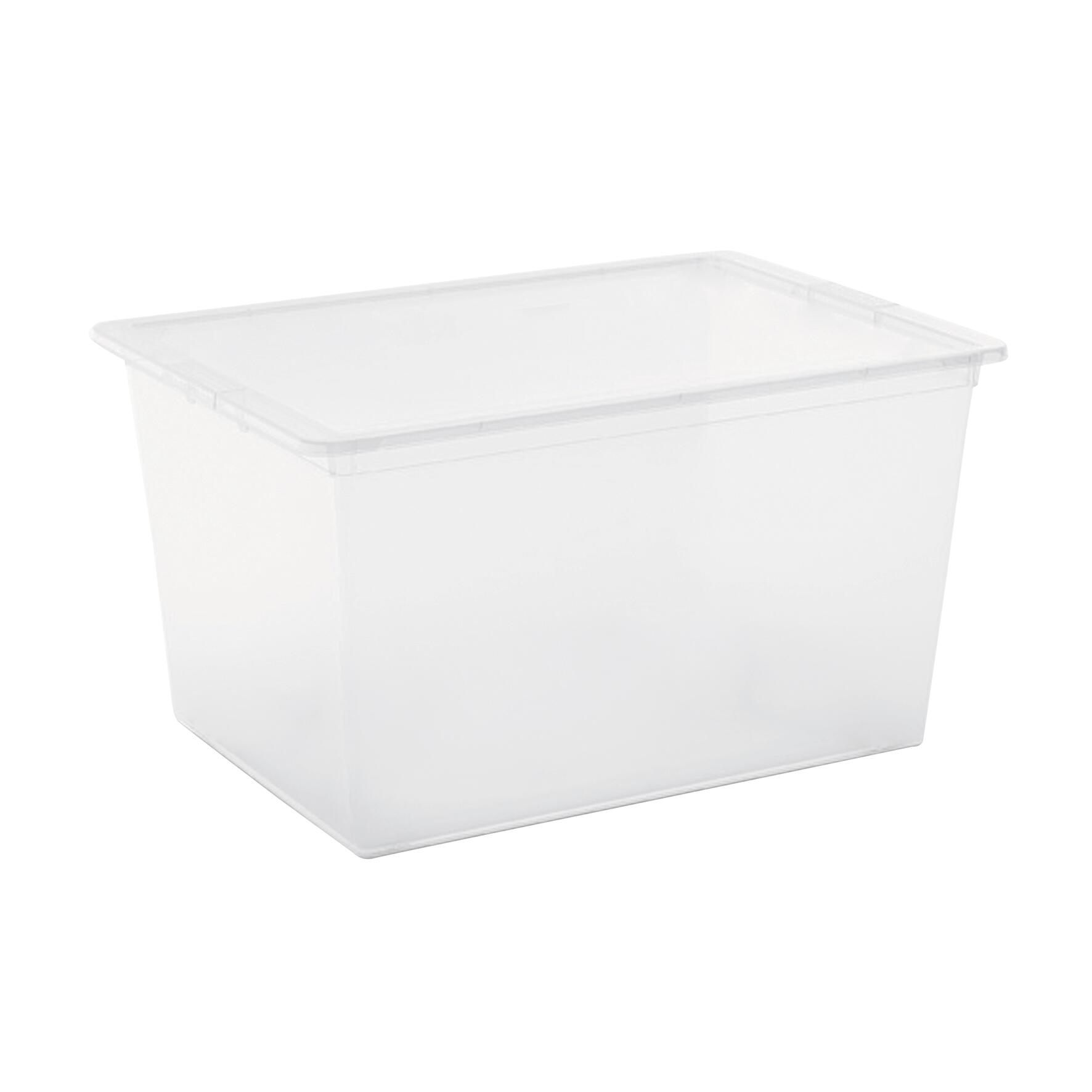Contenitore C-Box XL L 55 x H 30.5 x P 38.5 cm trasparente | Leroy Merlin