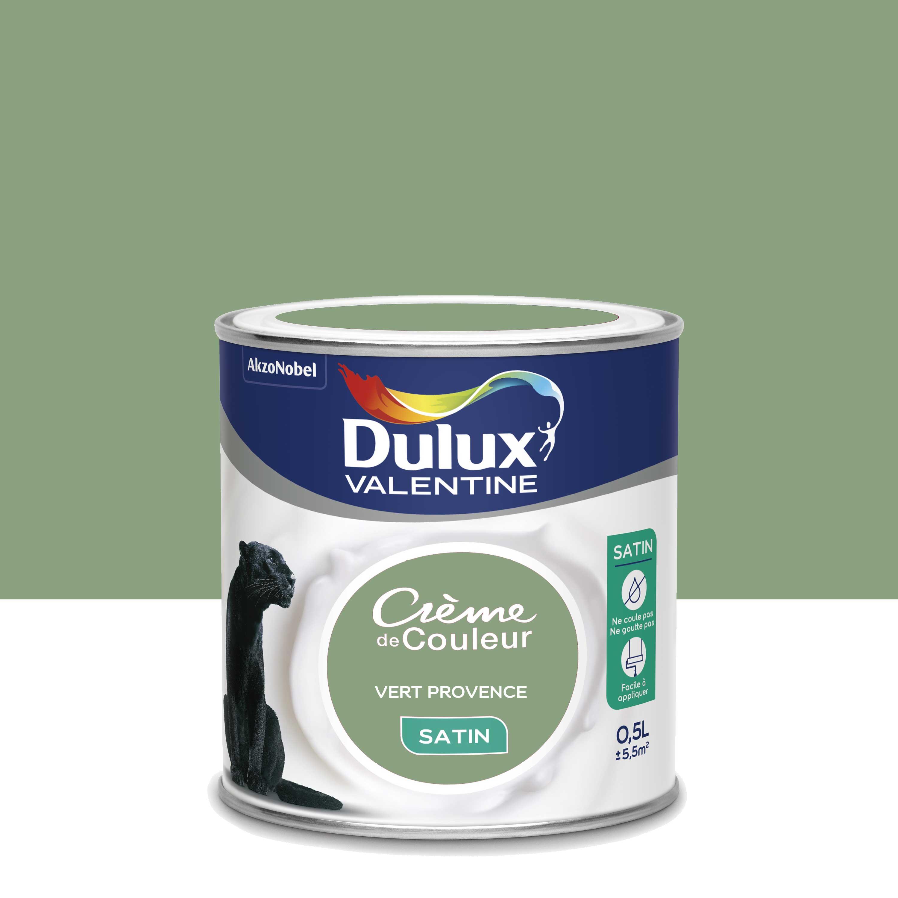 Peinture mur Crème de couleur DULUX VALENTINE vert provence satin 0.5 l ...