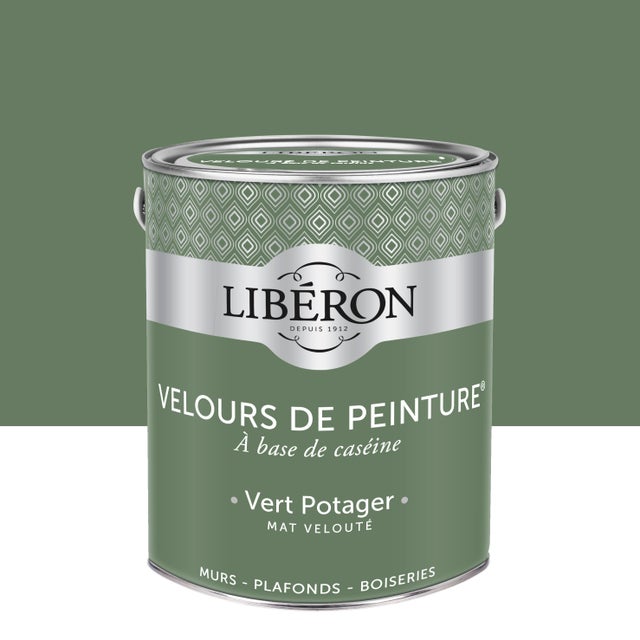 Peinture murale Libéron Velours de Peinture | Leroy Merlin