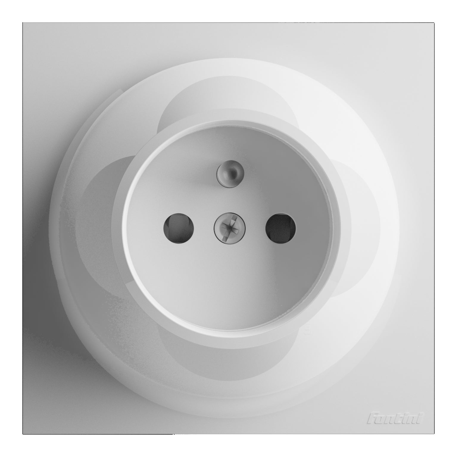 Prise avec terre, neo evo, FONTINI, couleur blanche ral9003 | Leroy Merlin