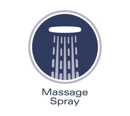 GROHE Douchette 3 jets Tempesta 100 | Leroy Merlin