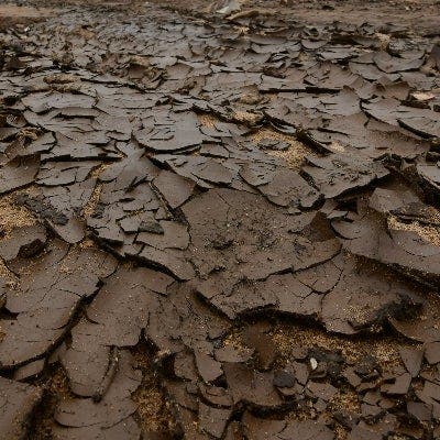 Tout savoir pour étudier, travailler et améliorer son sol | Leroy Merlin