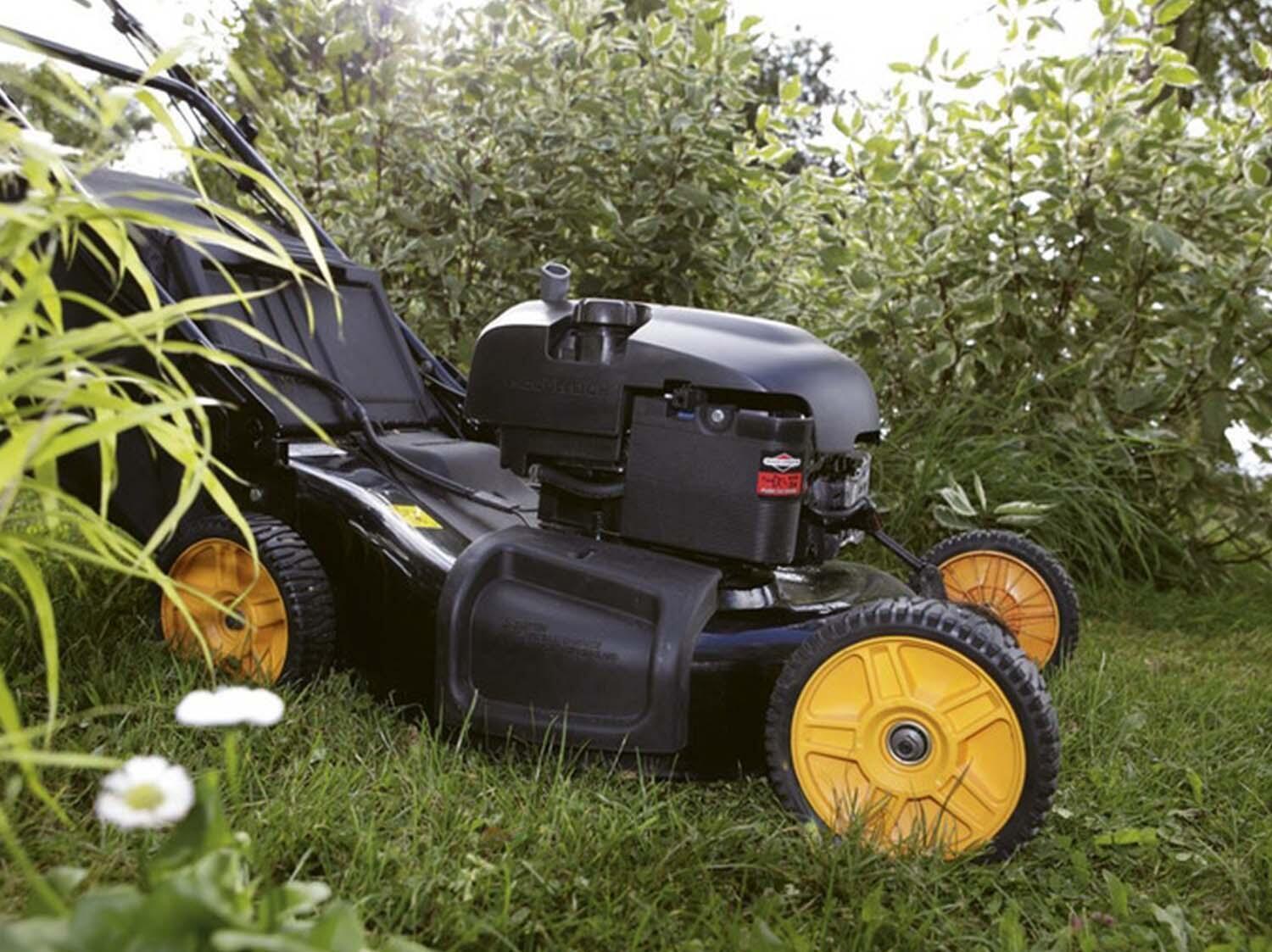 Aizenay | Leroy Merlin