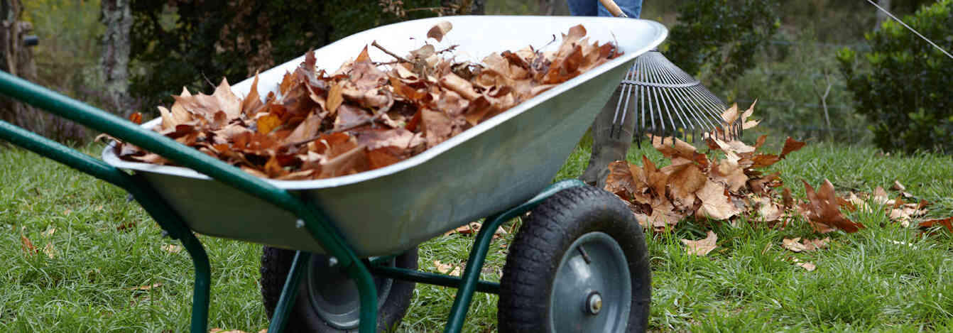 Come scegliere una carriola | Leroy Merlin