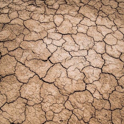 Tout savoir pour étudier, travailler et améliorer son sol | Leroy Merlin