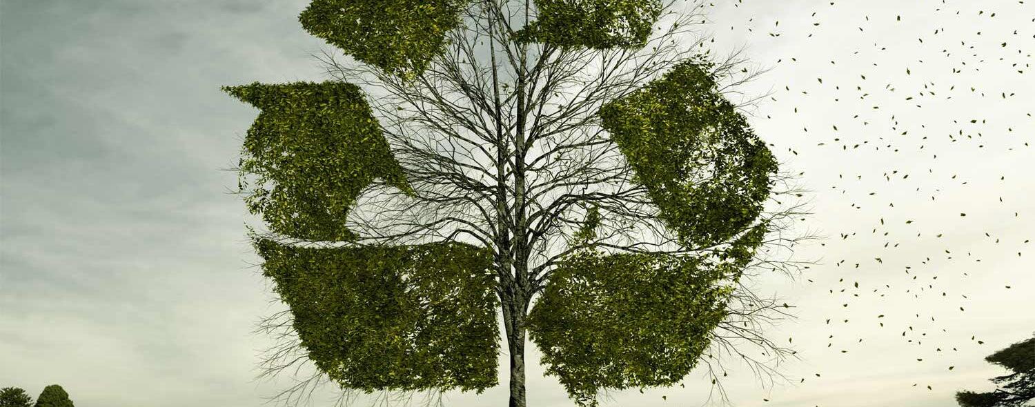 Les éco-participations et les consignes de tri | Leroy Merlin