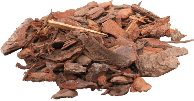 Ecorce de pin | Leroy Merlin