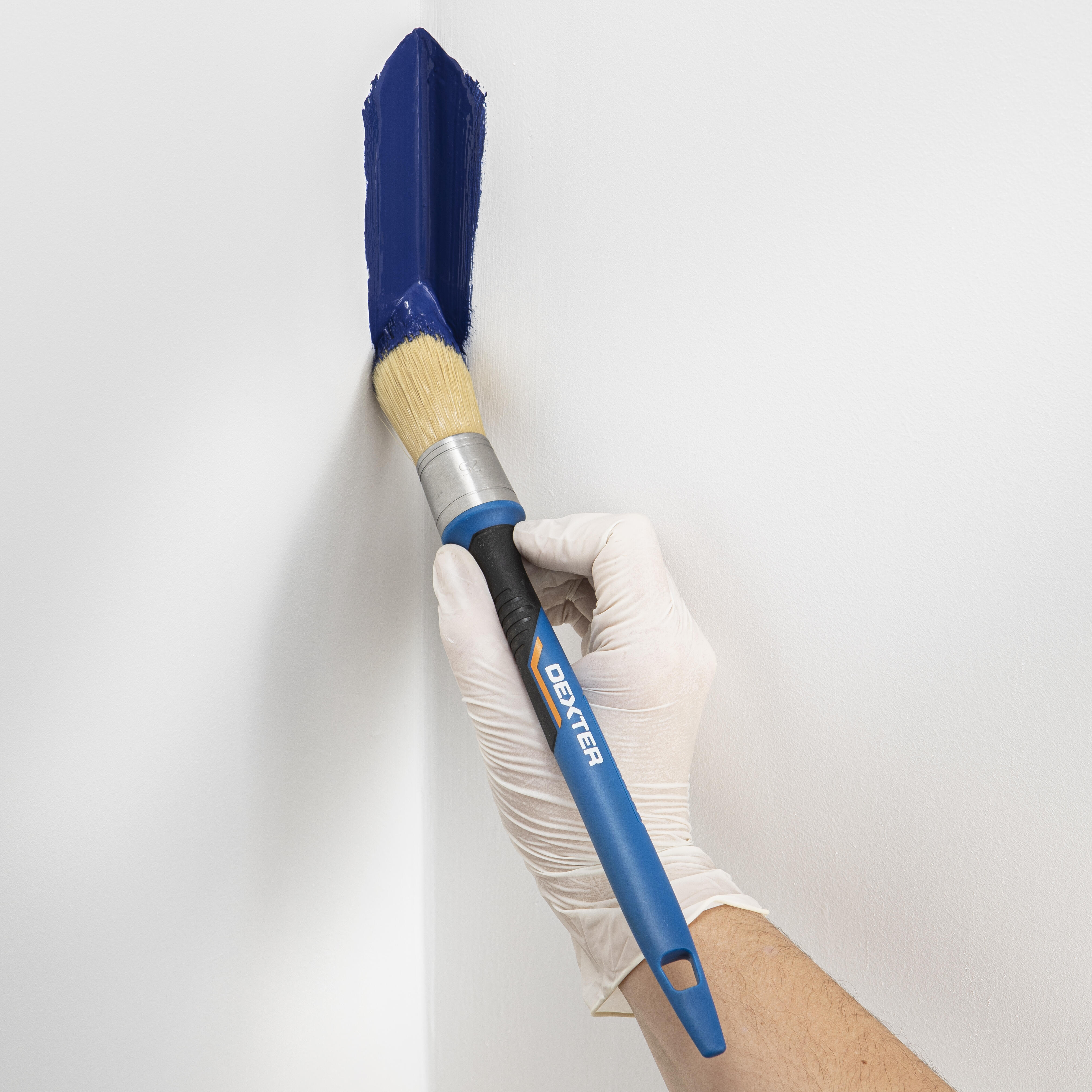 Pennello 15 mm x Sp 56 mm per vernice a base acqua e vernice a base ...