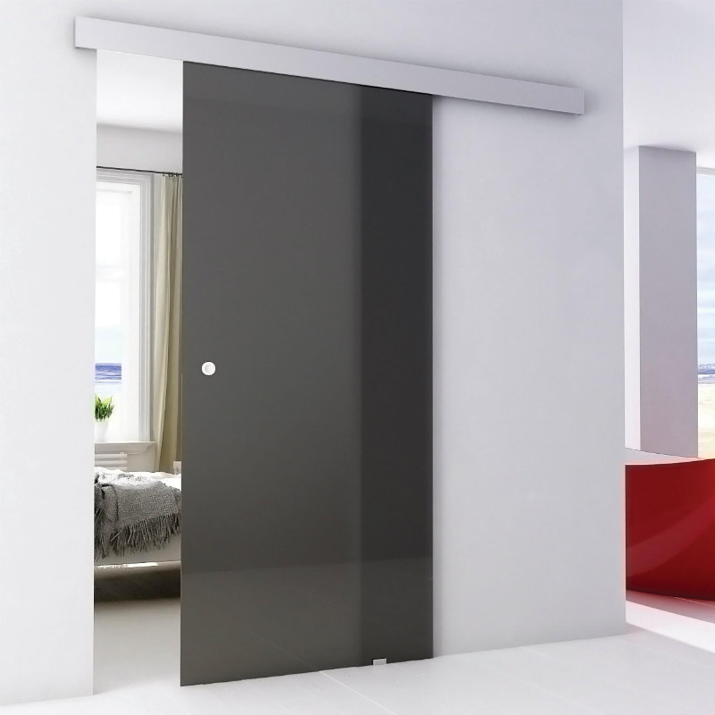 Porta scorrevole Cristal Fumé in cristallo, L 86 x H 215 cm, con ...
