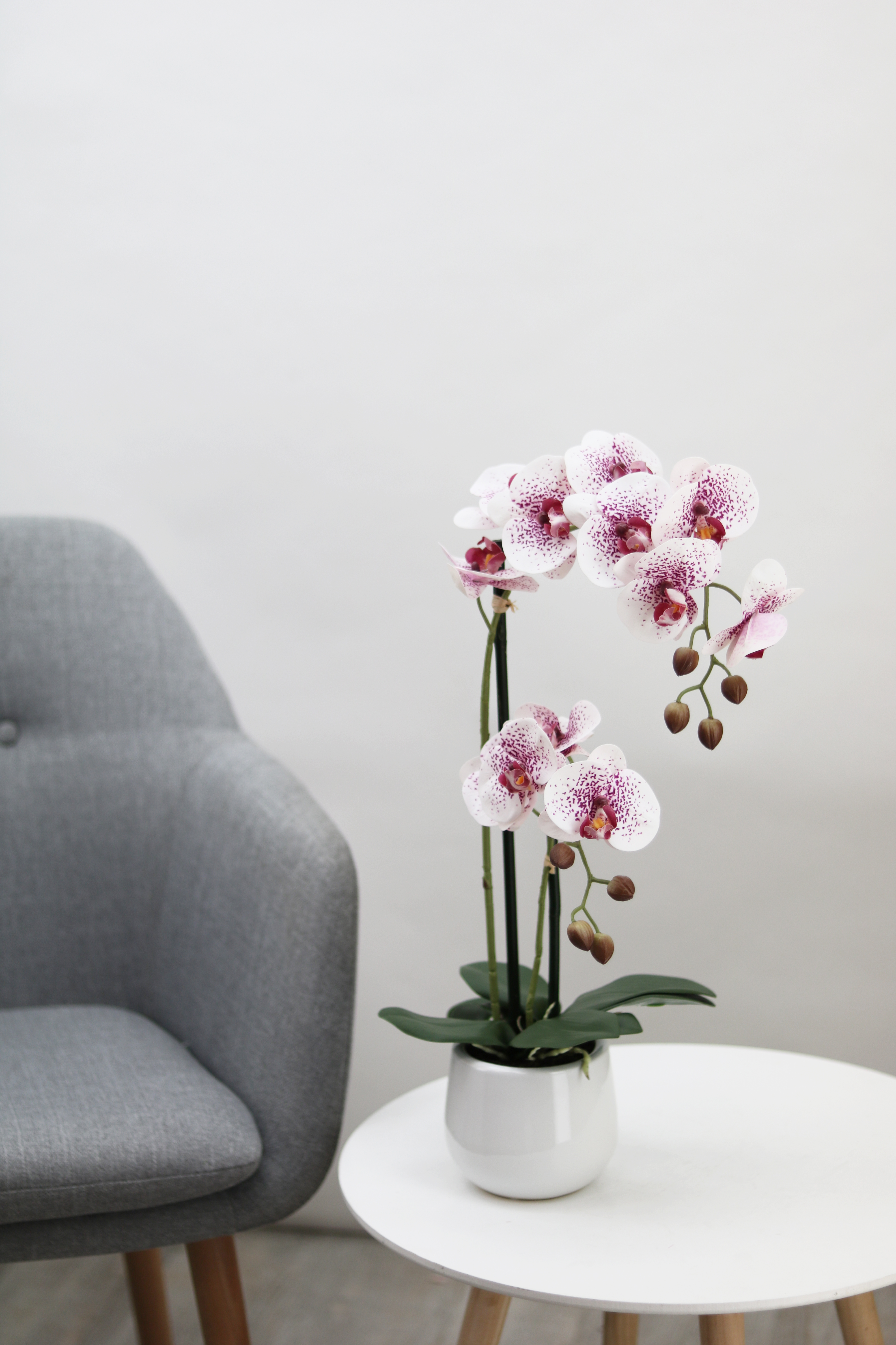 Orchidée artificielle 2 branches pot céramique blanc H29cm, Ligne Déco ...