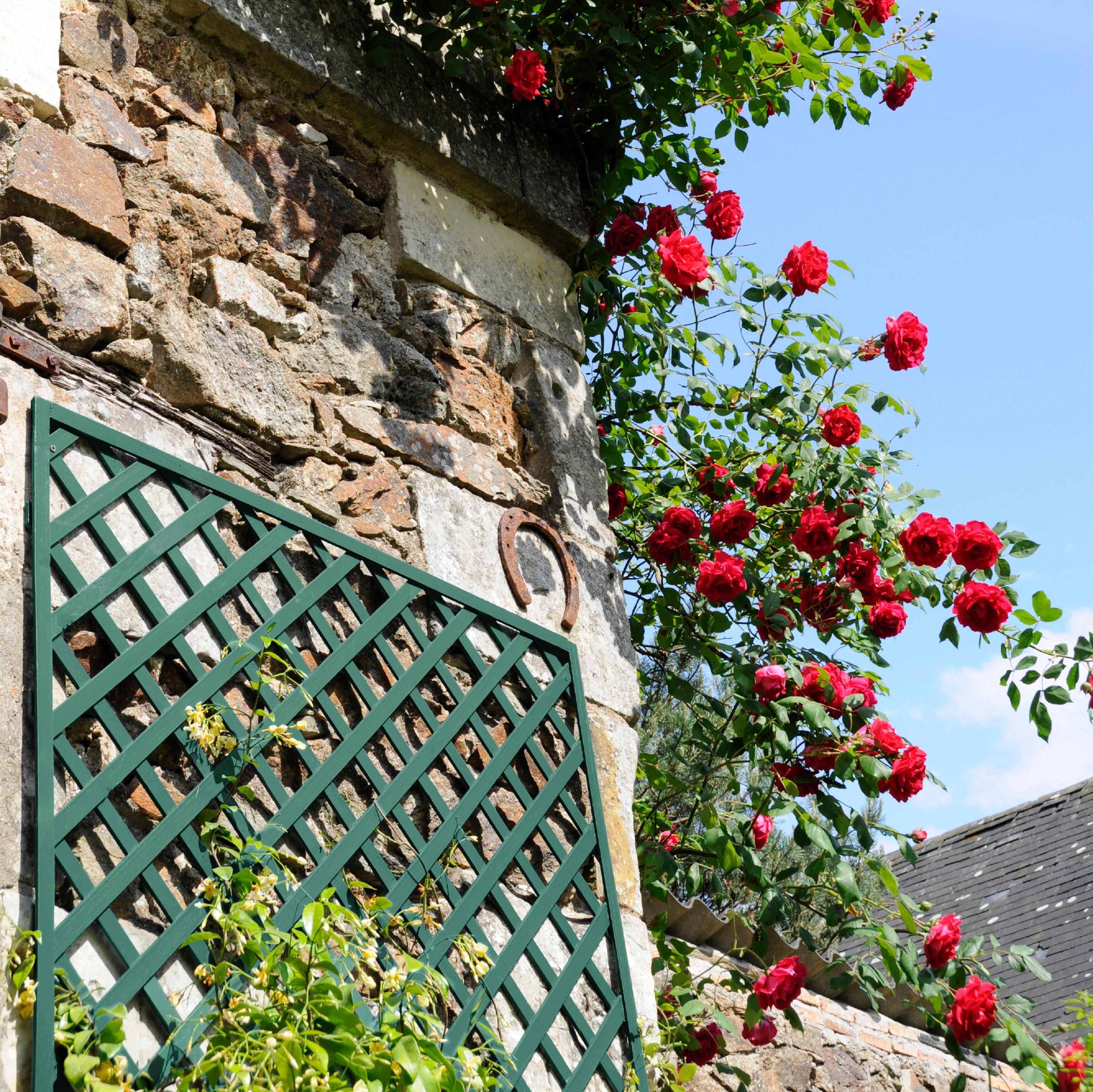 Panneau treillis 6 cm bois ajouré Losange, l.100 x H.141 cm, vert ...