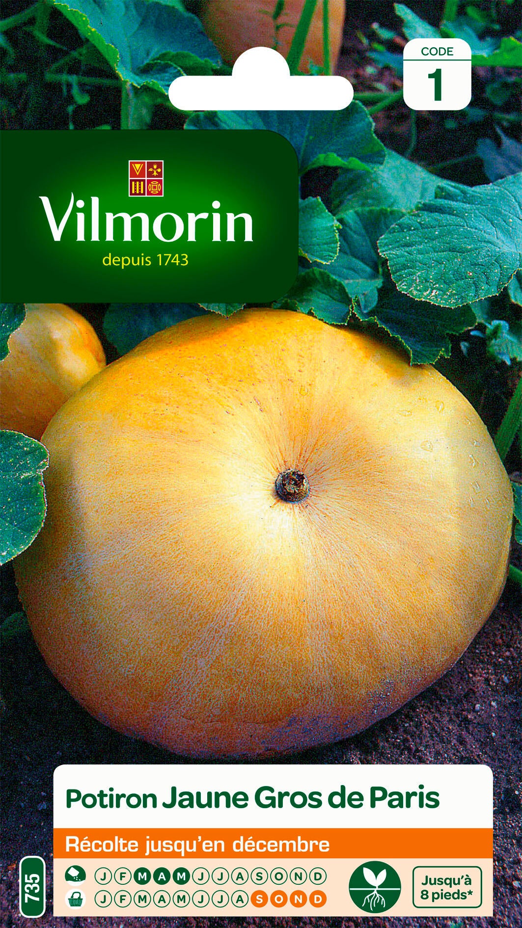 Potiron jaune gros de paris VILMORIN 6 g | Leroy Merlin