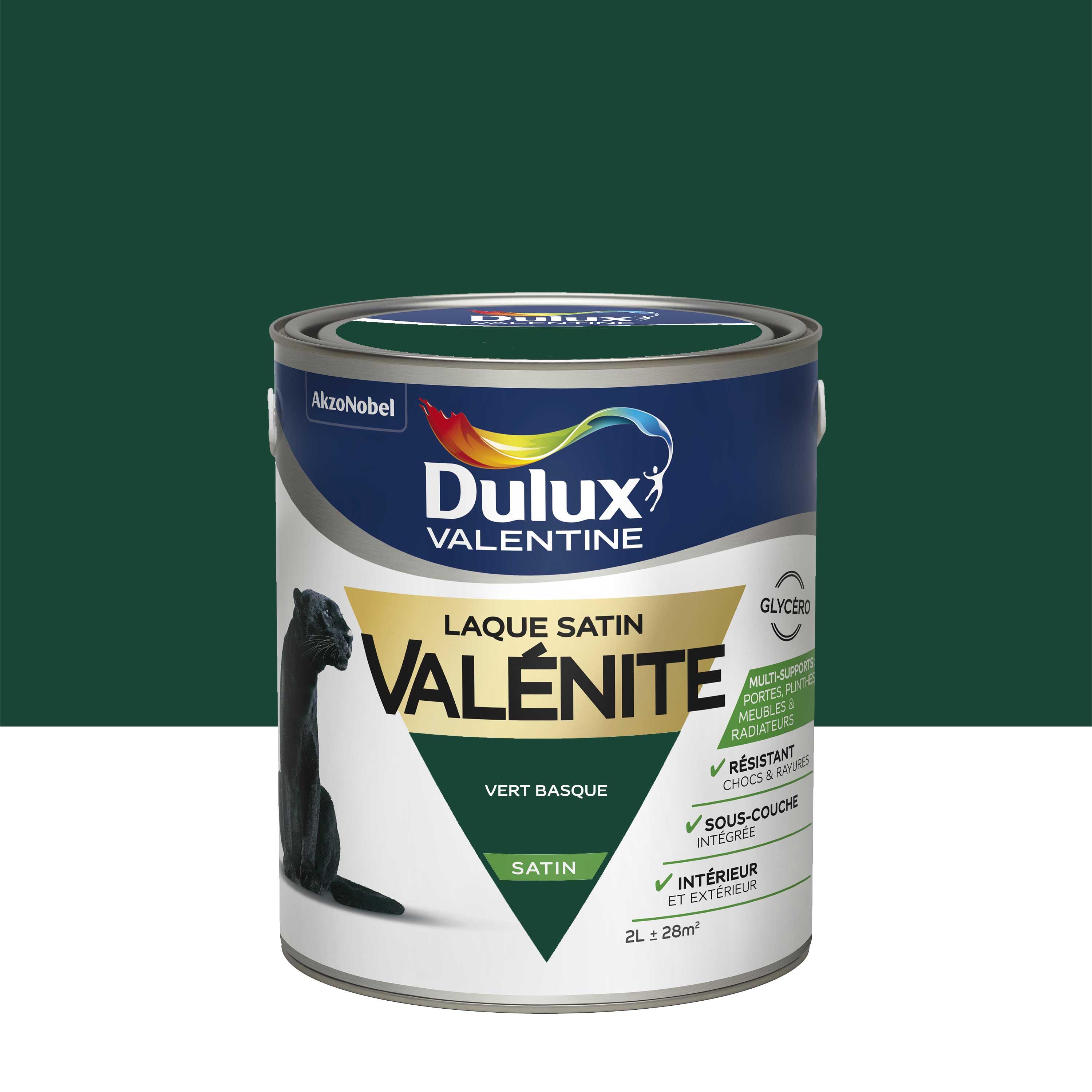 Peinture boiserie, radiateur vert basque satin DULUX VALENTINE Valénite ...