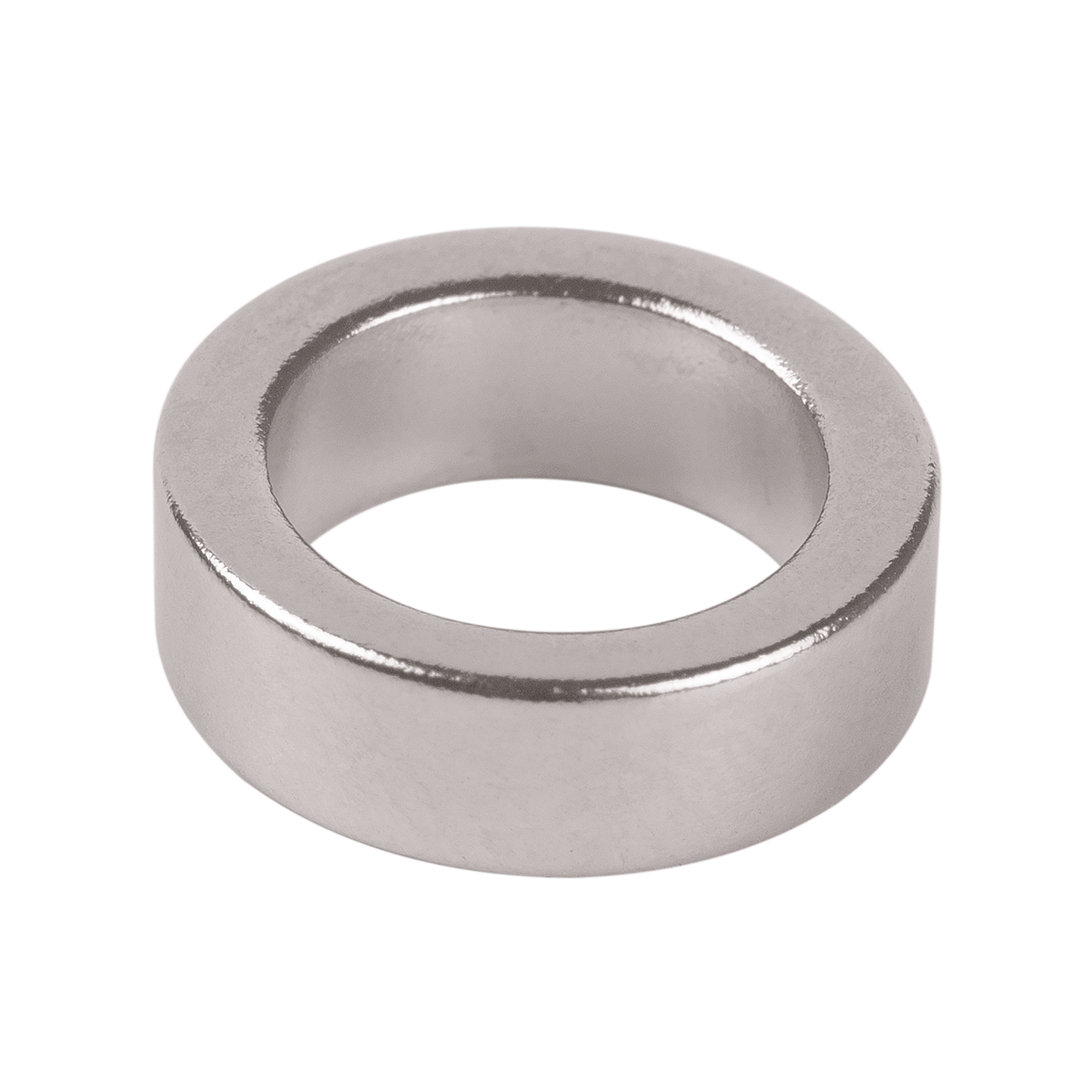 Aimant argent FIX-O-MOLL Produit sans nom de série, Diam.12 mm | Leroy ...