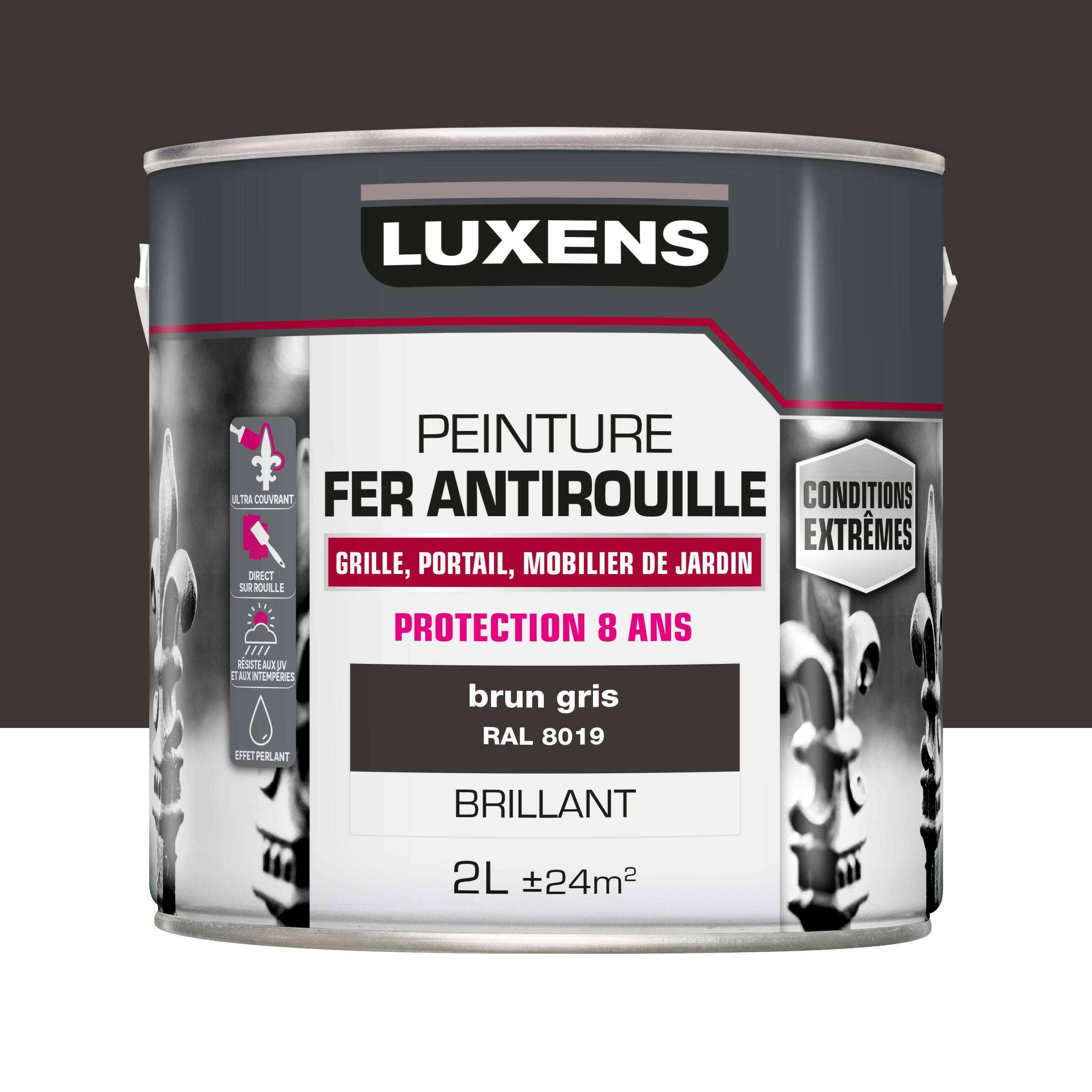 Peinture extérieure fer Conditions extrêmes LUXENS brun gris RAL 8019 ...