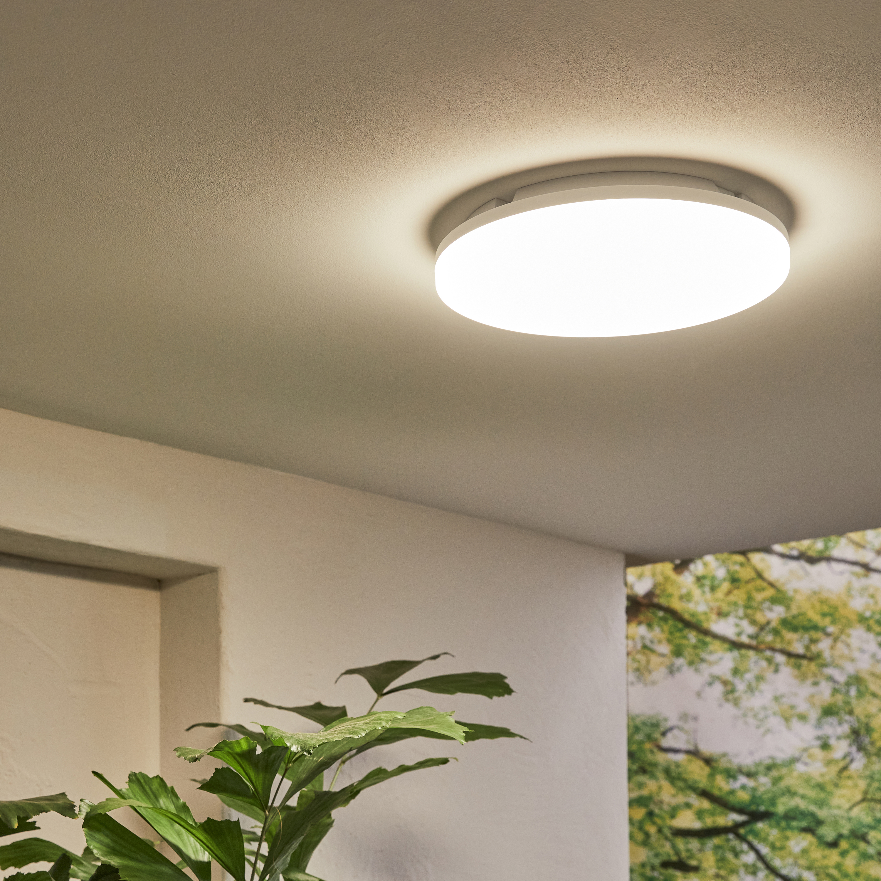 Plafoniera LED da esterno Mahina, bianco Ø 6 cm, luce naturale, 1800 ...