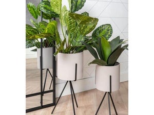 Cache-pot | Leroy Merlin