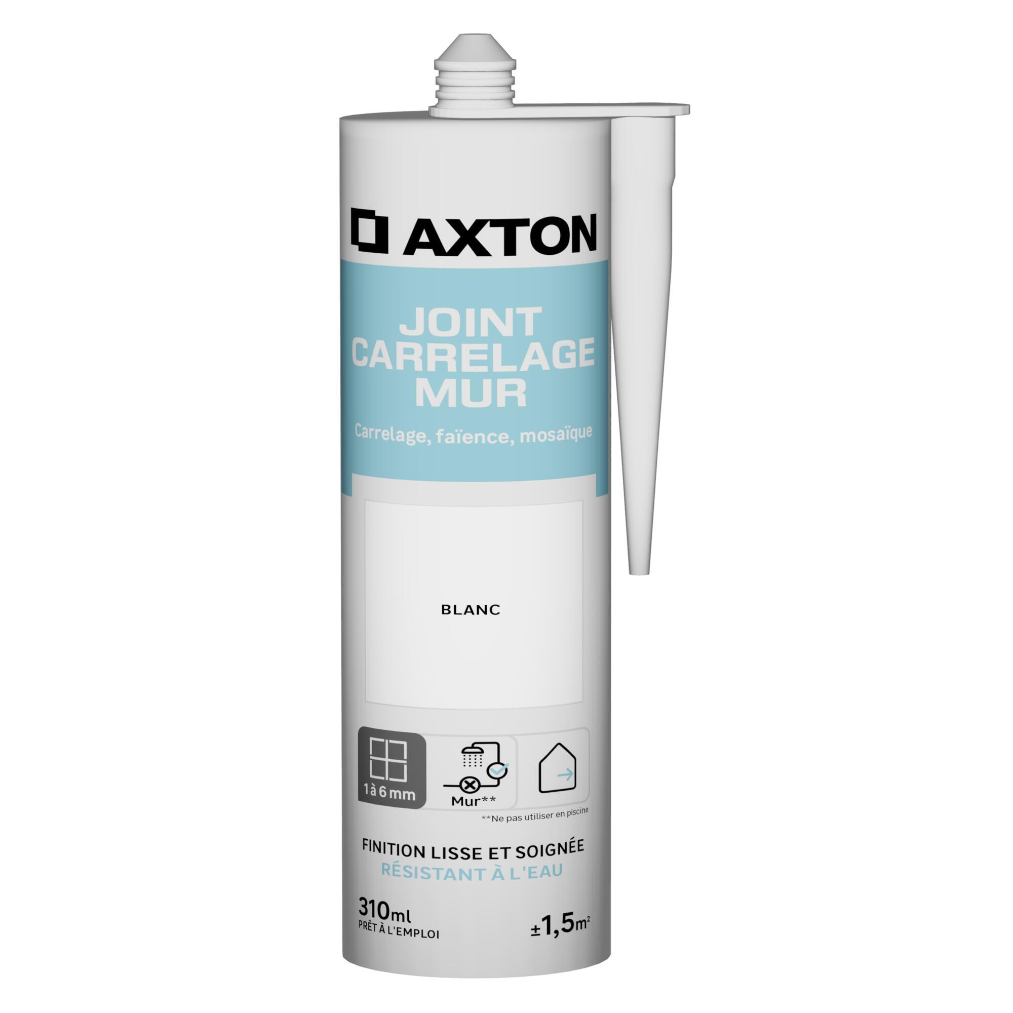Joint pâte carrelage / mosaïque AXTON blanc 310ML | Leroy Merlin