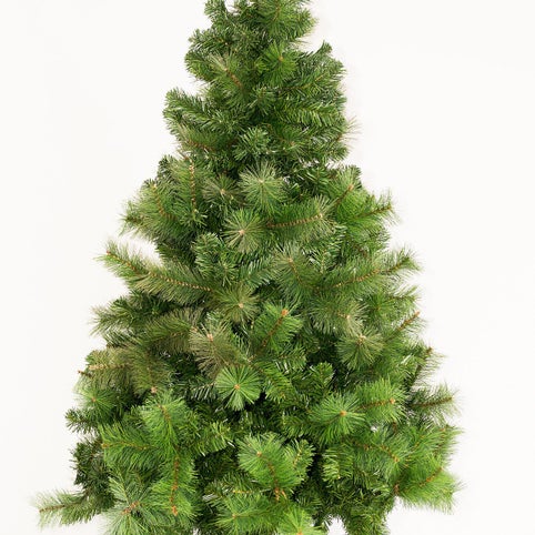 ΔΕΝΤΡΟ 210CM ΕΛΑΤΟ/ΠΕΥΚΟ 789