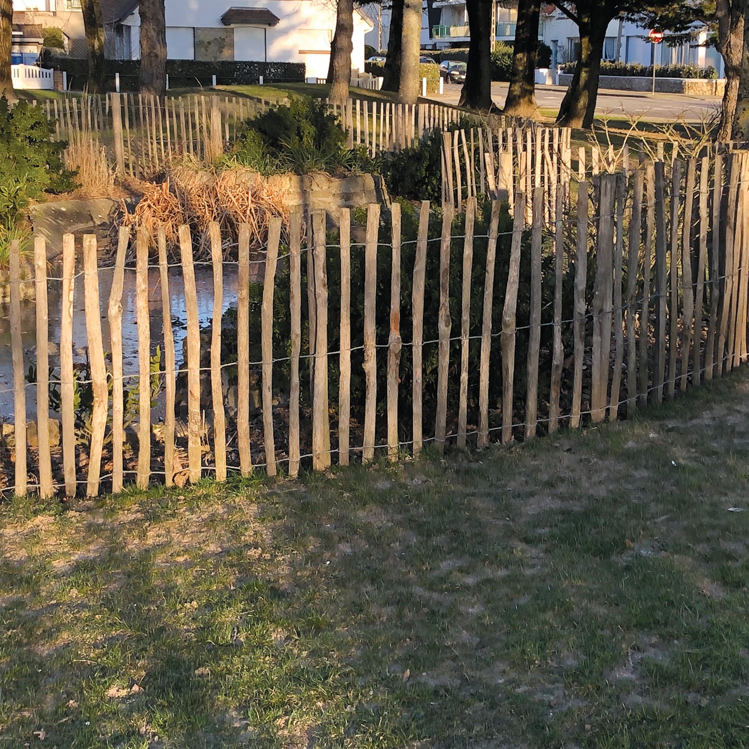 Clôture bois Ganivelle joli côte bois clair naturel, H.100 x l.500 cm ...