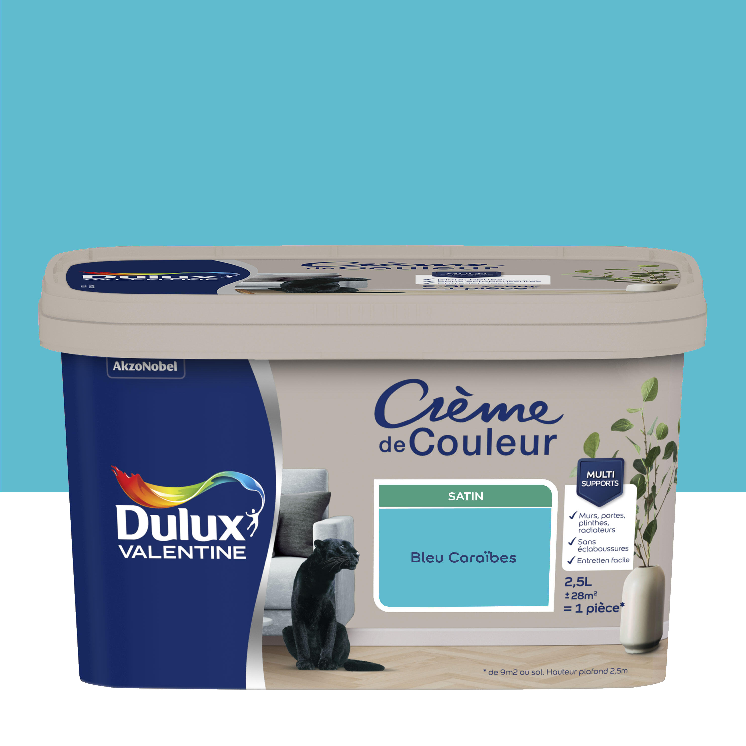 Peinture mur, Crème de couleur DULUX VALENTINE bleu caraïbes satiné 2 ...