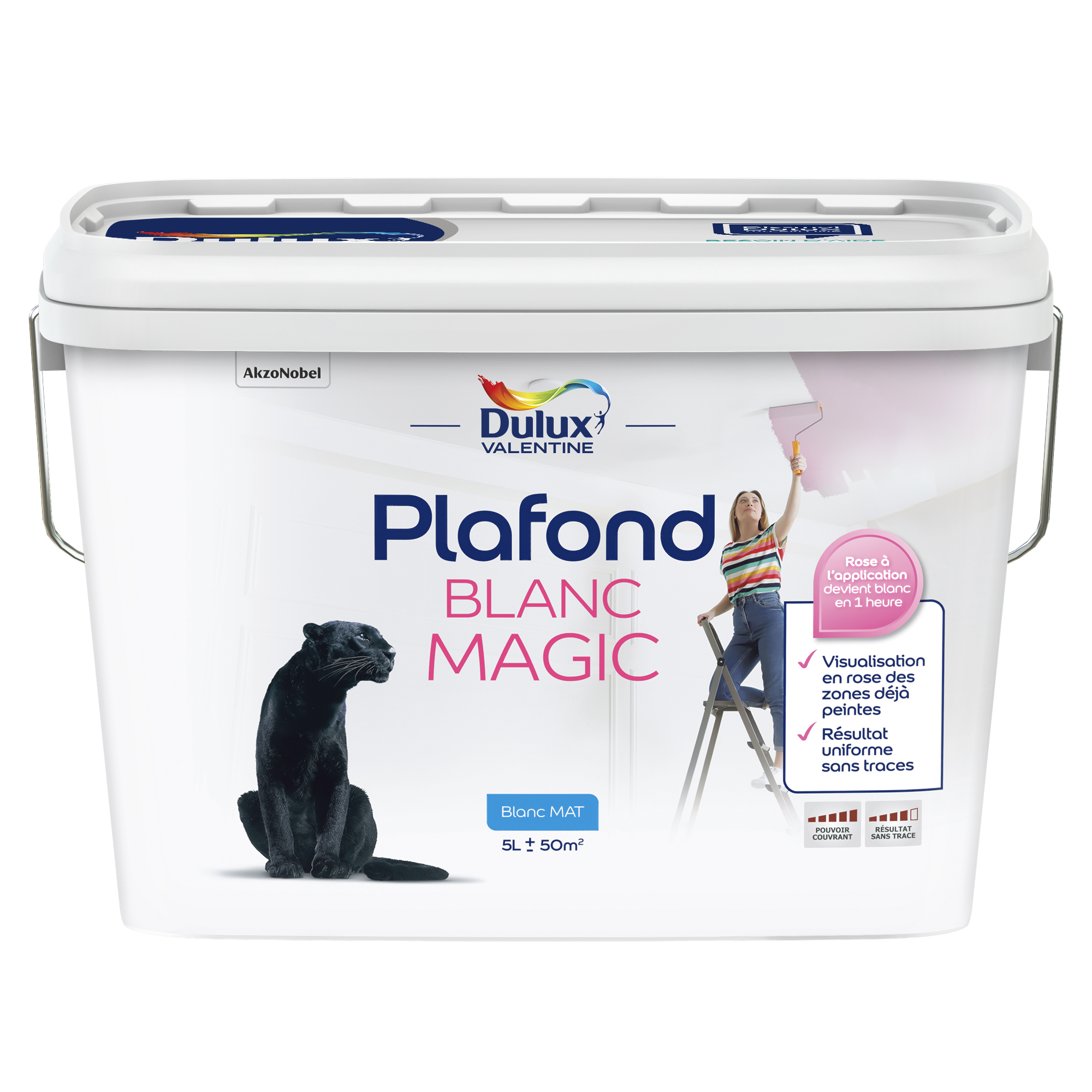 Peinture plafond blanc mat DULUX VALENTINE Magic 5L | Leroy Merlin