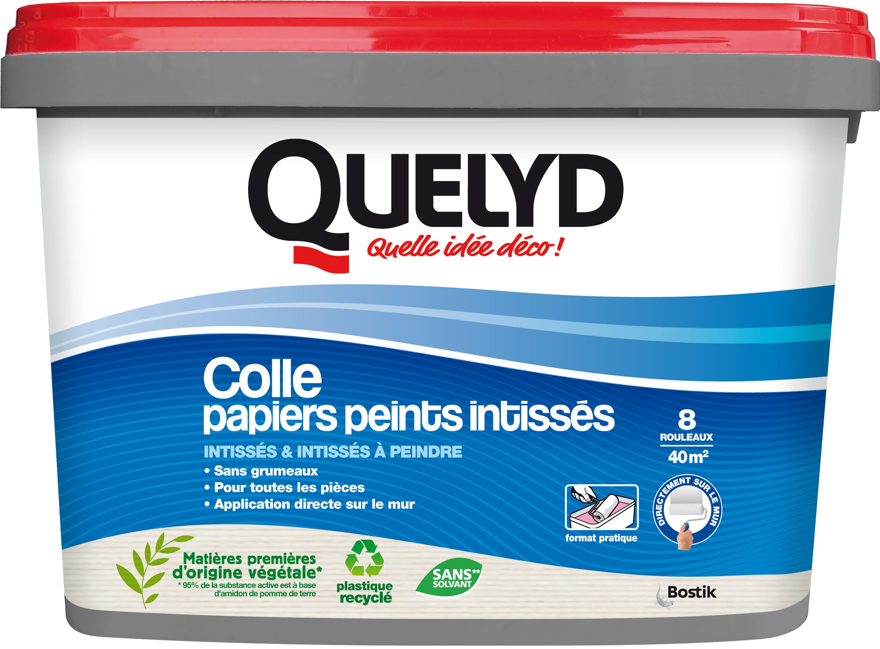 Colle en pâte pour papiers peints intissés QUELYD, 5kg | Leroy Merlin