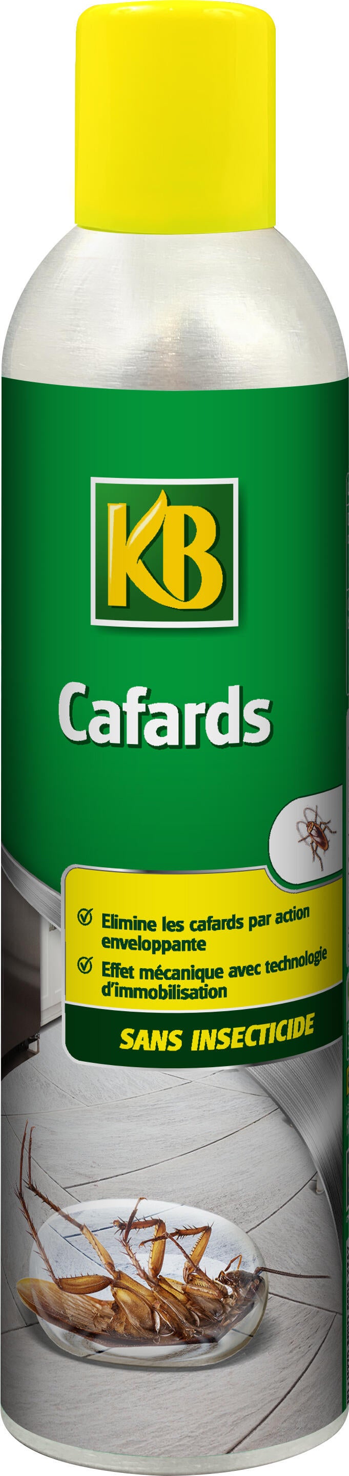 Anticafards aérosol cafard KB, 300 ml | Leroy Merlin