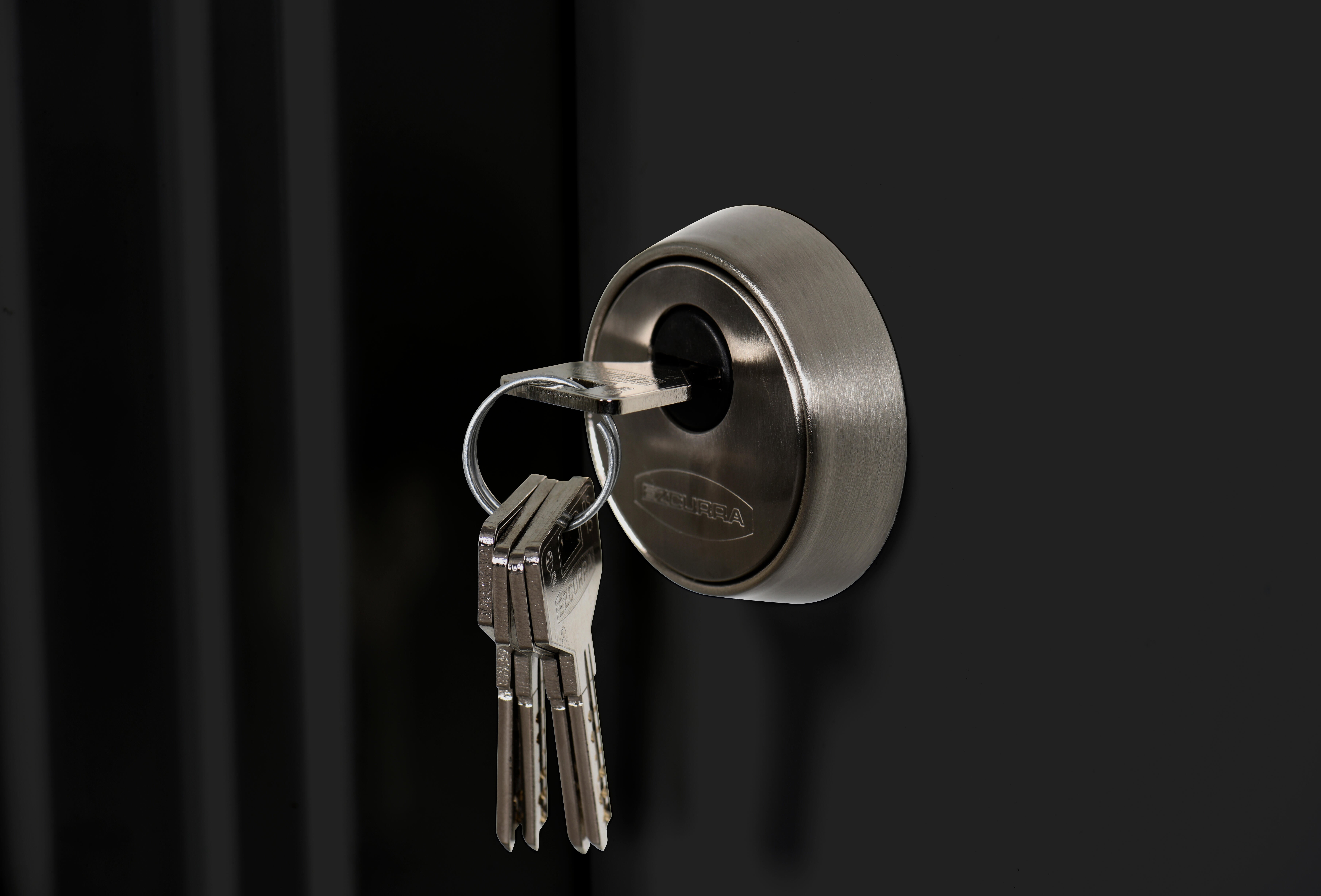 Puerta de entrada metálica insercciones aluminio izquierda negro de ...