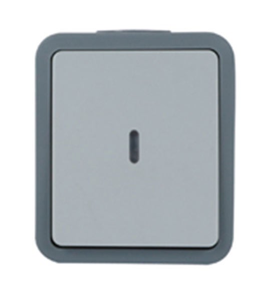 Interruptor con luz LEXMAN Extrem IP55 gris | Leroy Merlin