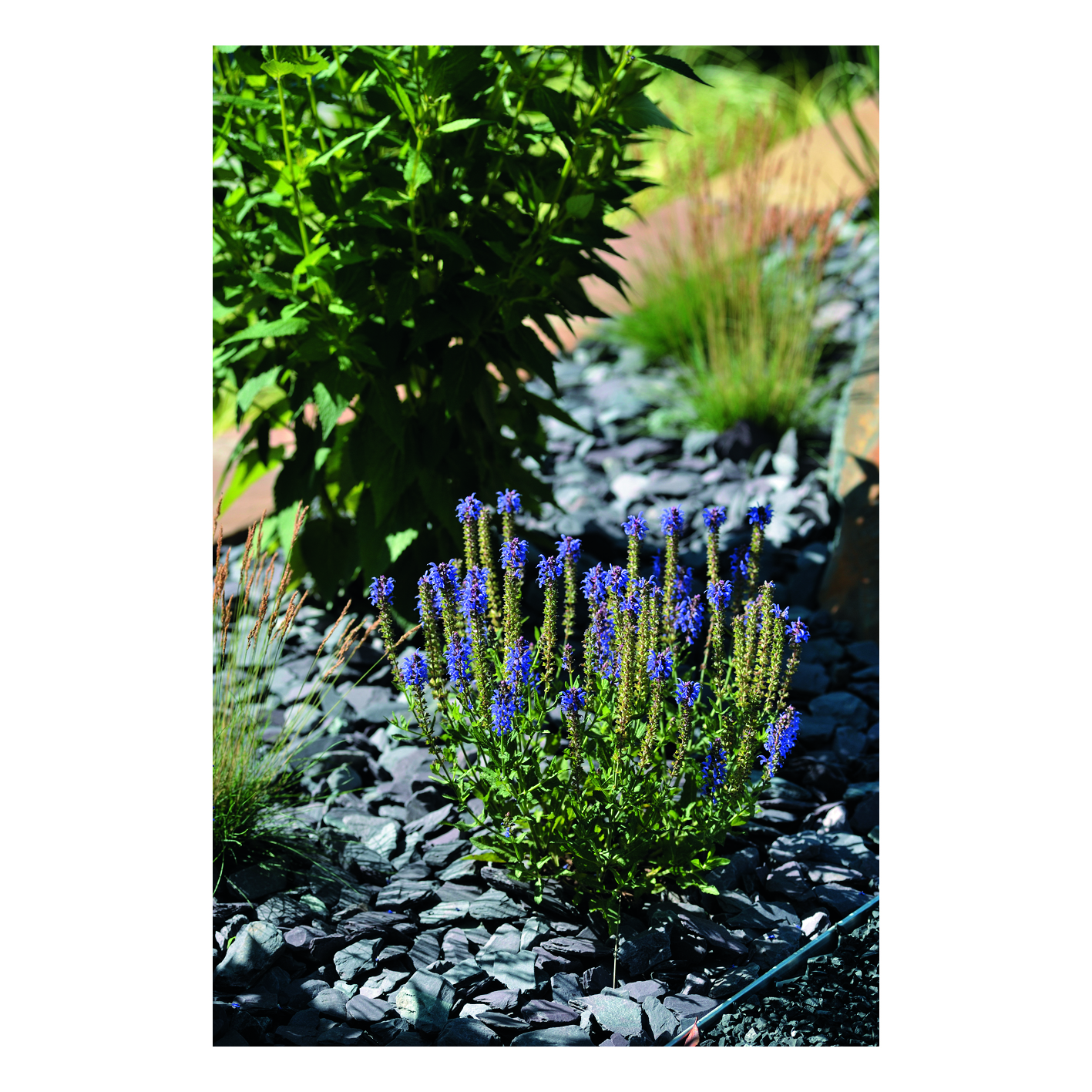 Sacchetto di roccia ardesia nera 20 kg 30/50 mm | Leroy Merlin