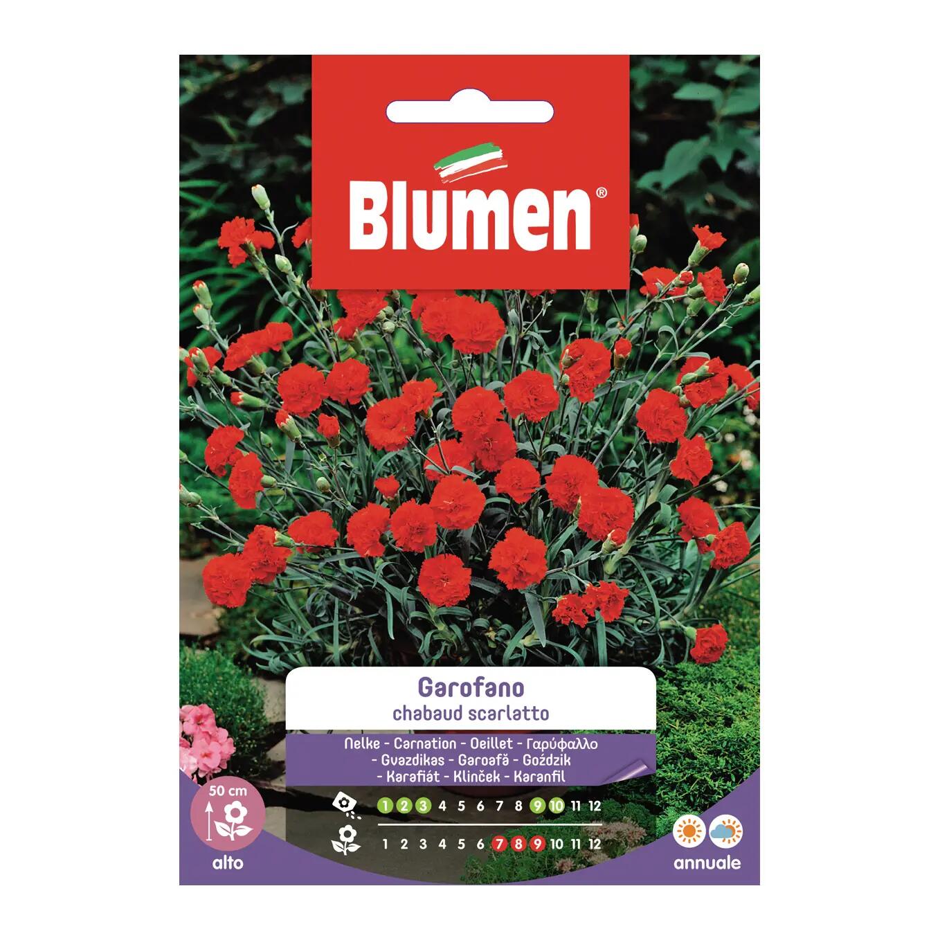 Semi per fiori di Garofano Chabaud scarlatto BLUMEN | Leroy Merlin