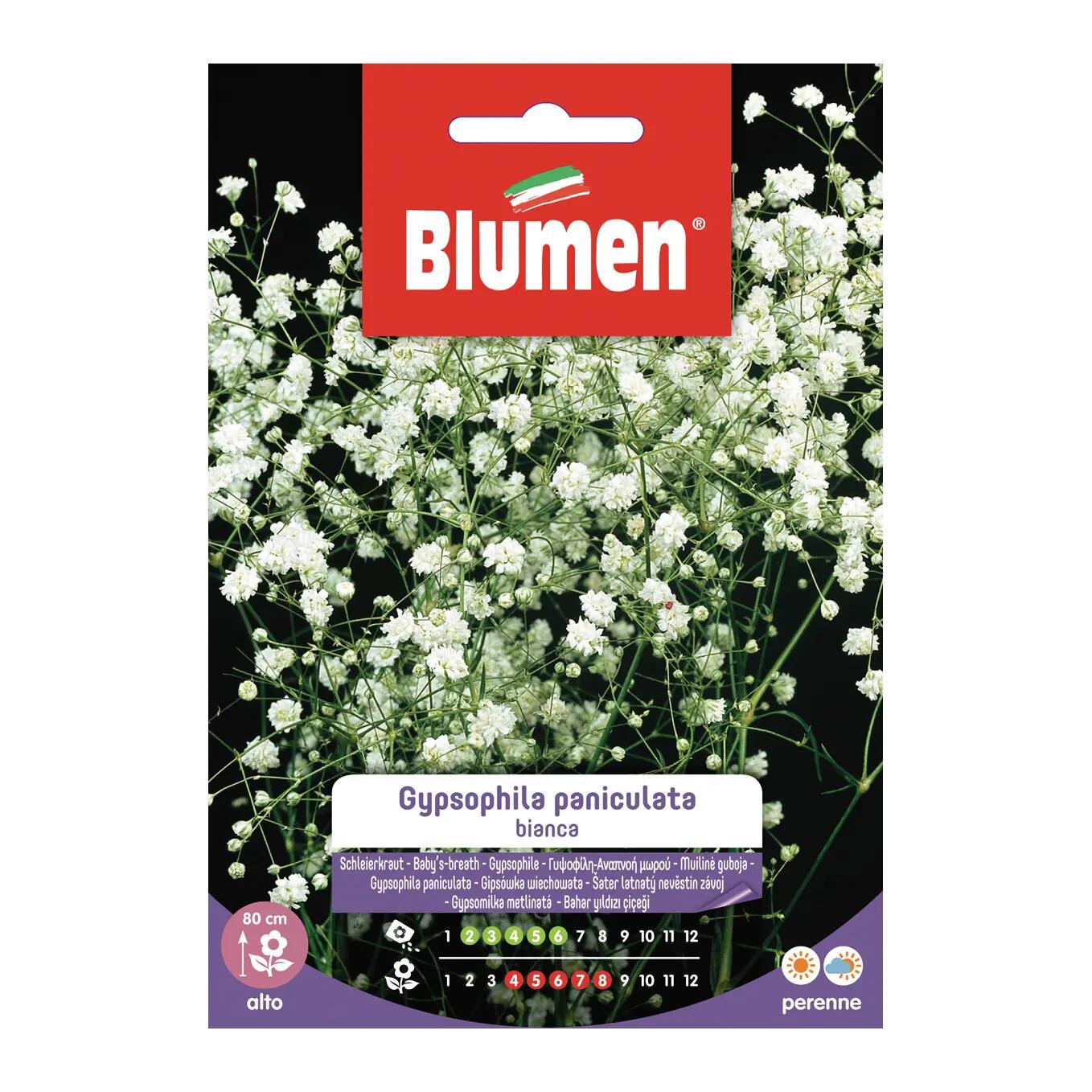 Seme fiore Gypsophila Paniculata bianca | Leroy Merlin