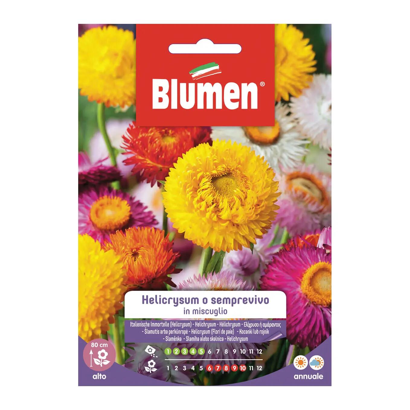Semi per fiori di Helicrysum in miscuglio BLUMEN | Leroy Merlin