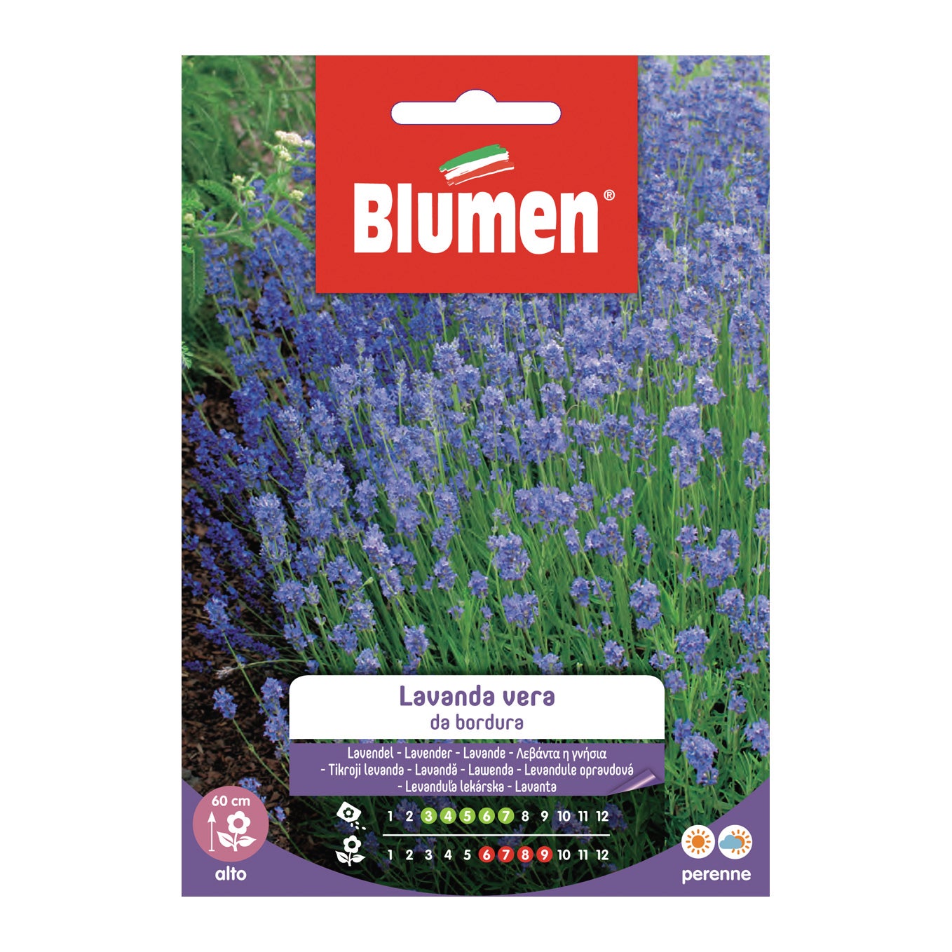 Seme fiore Lavanda da bordura 1 g | Leroy Merlin