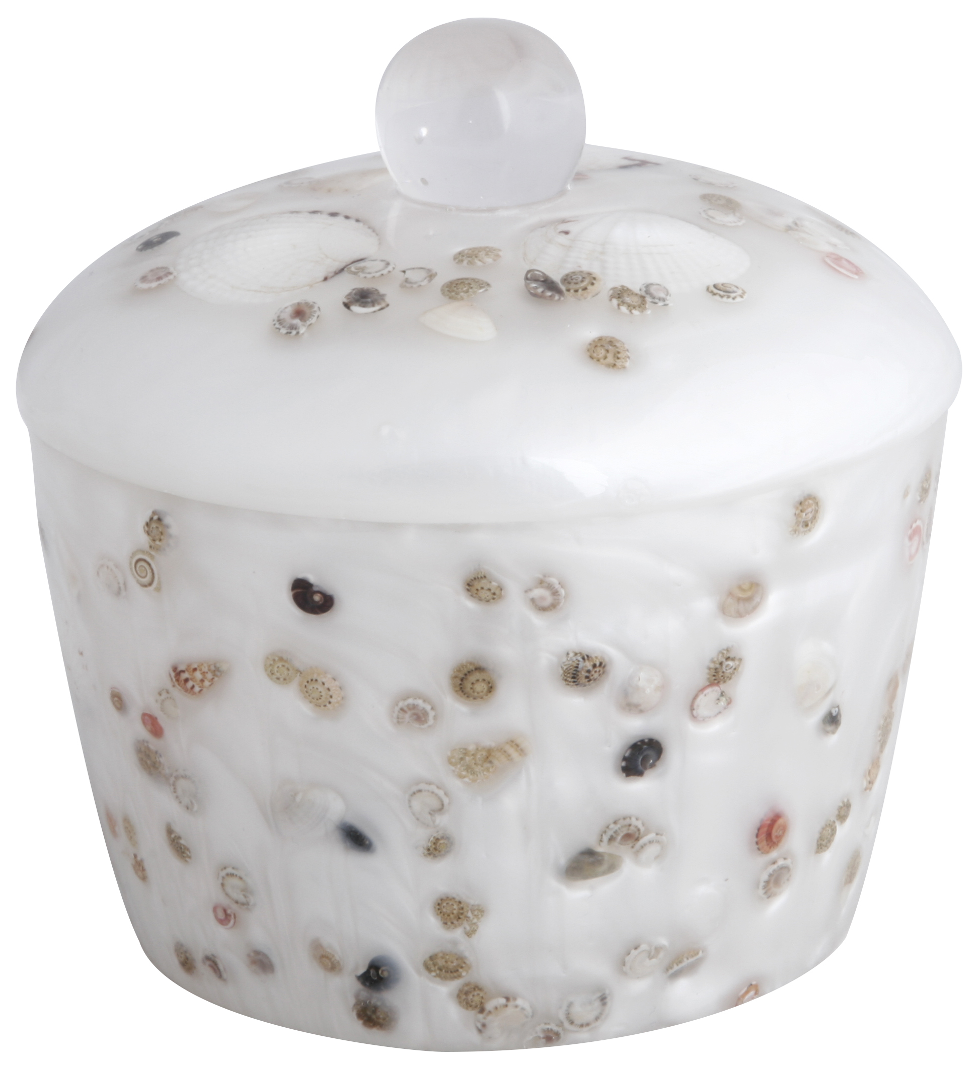Algodonero Antille beige 9x11 cm | Leroy Merlin