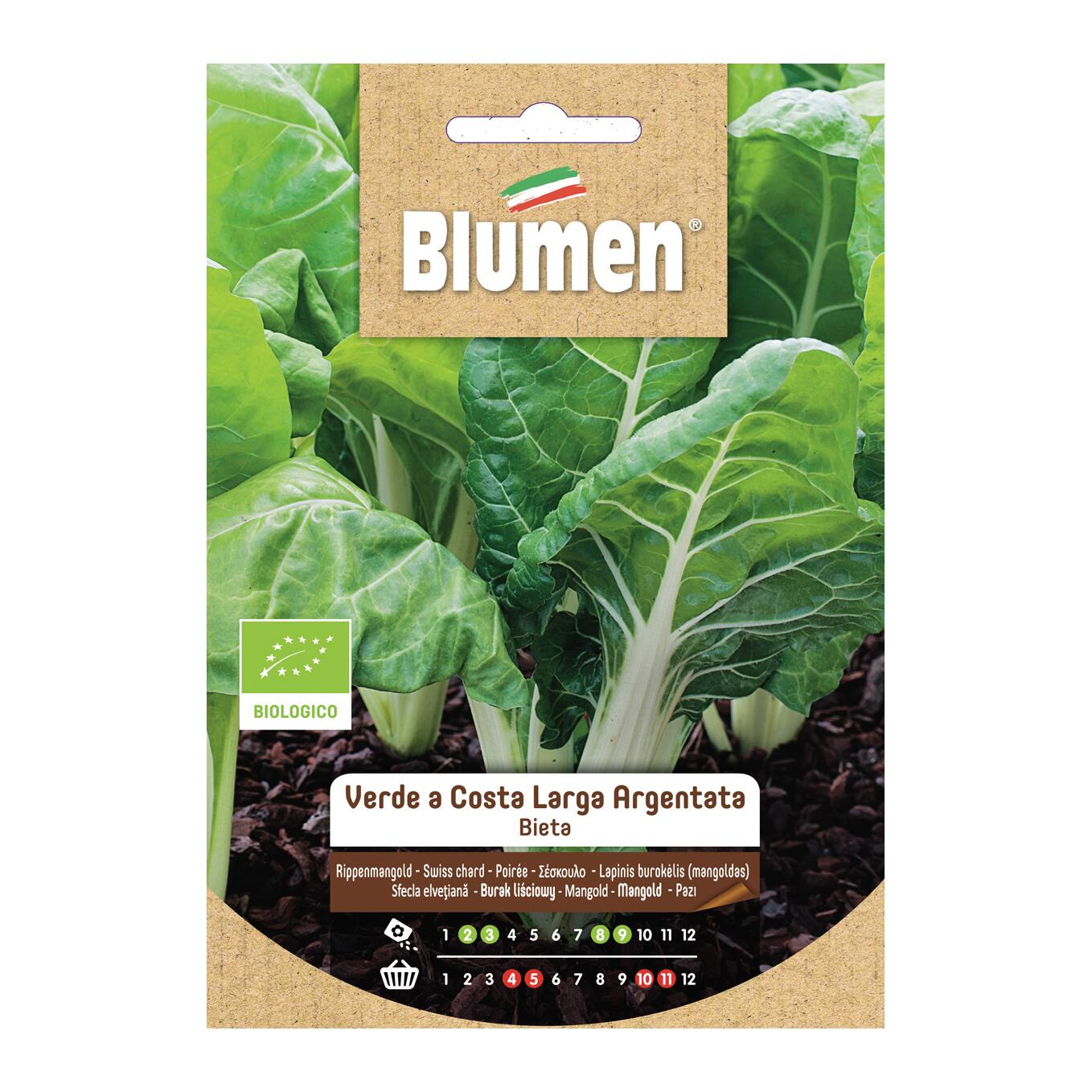 Semi per orto bieta da coste BLUMEN 2 g | Leroy Merlin
