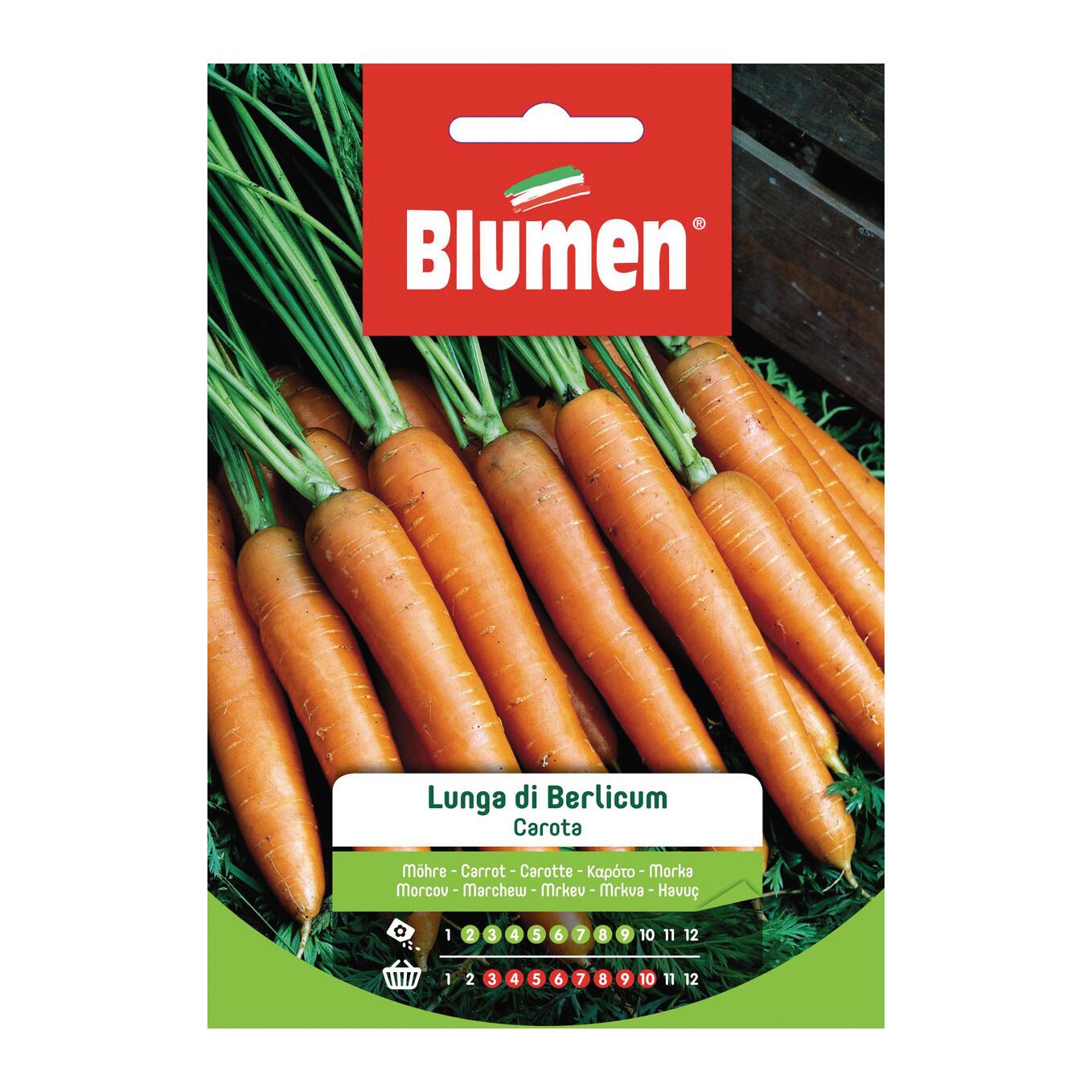 Seme per orto Carota Lunga Di Berlicum | Leroy Merlin