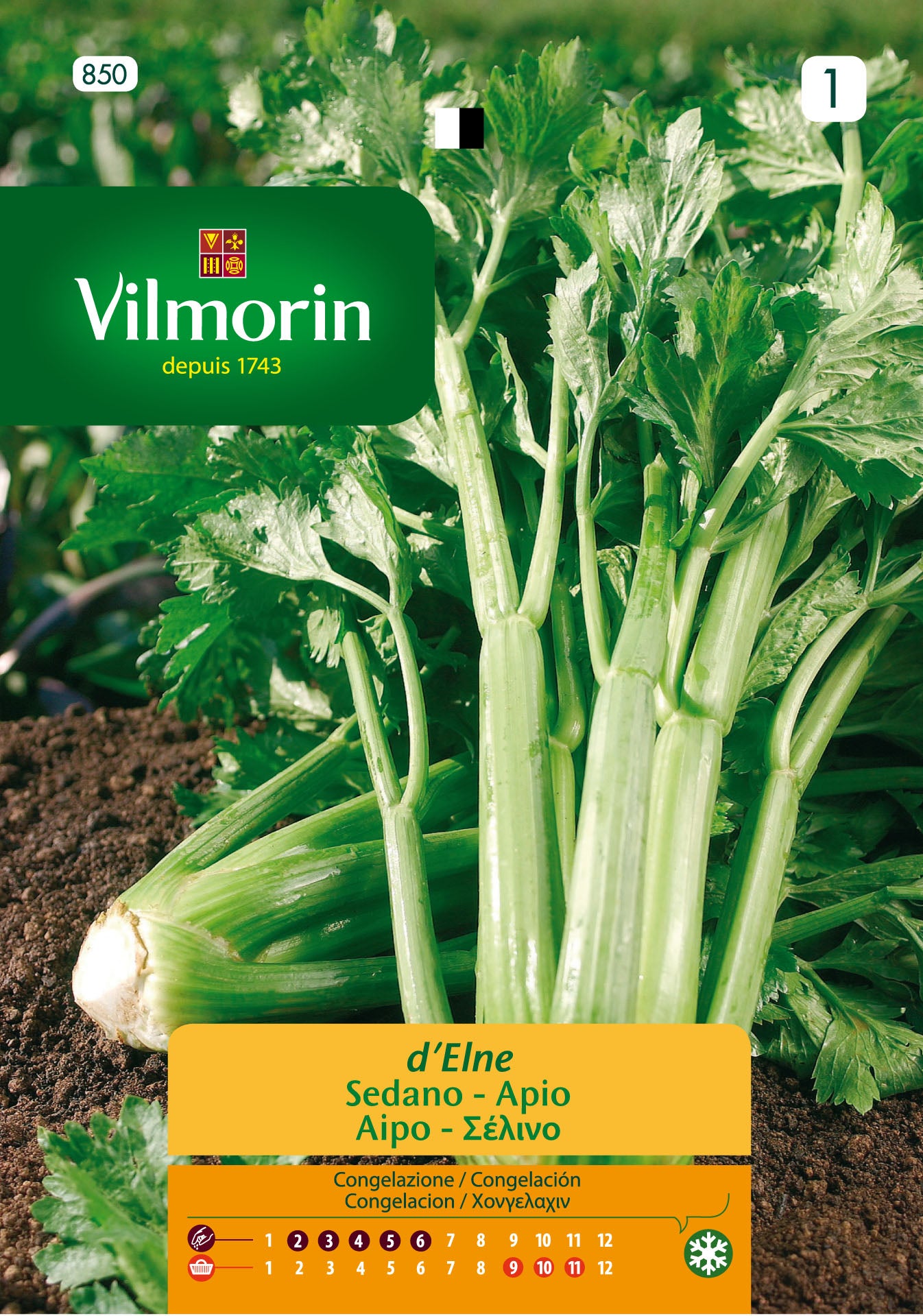 Semilla de apio D'Elne | Leroy Merlin