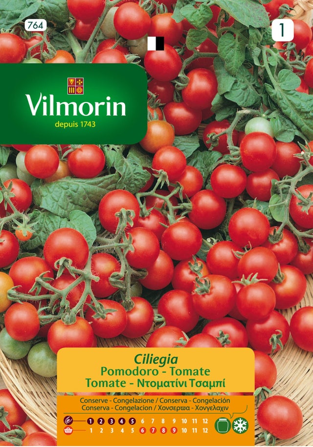Semillas de tomate: alto rendimiento y fácil cultivo