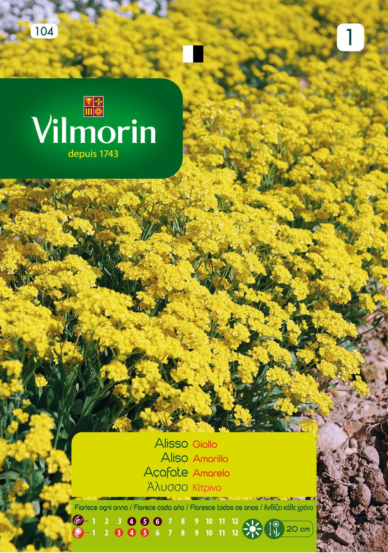 Semilla de aliso Amarillo | Leroy Merlin