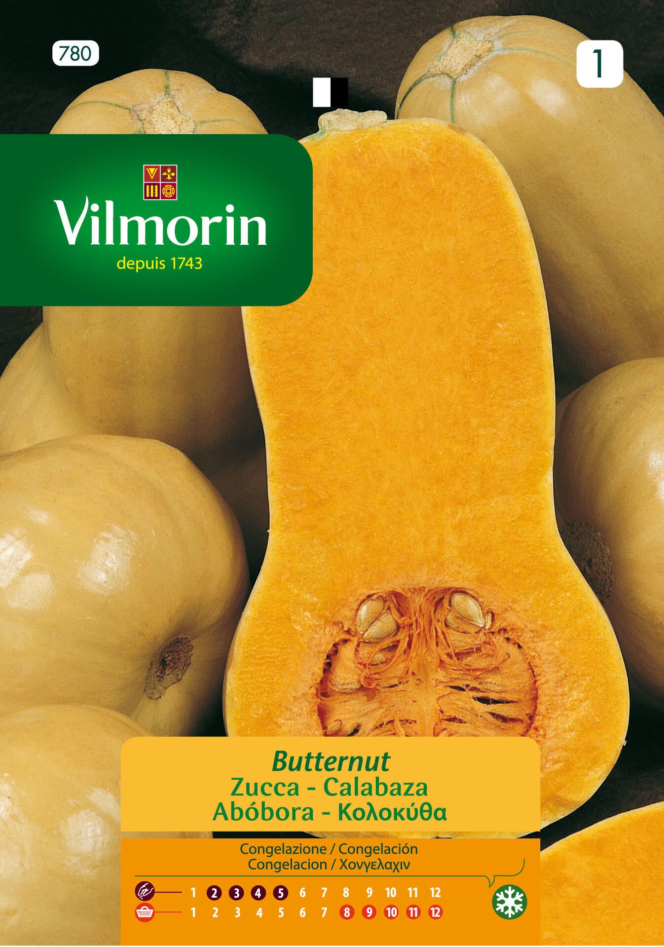 Semilla de calabaza Butternut | Leroy Merlin