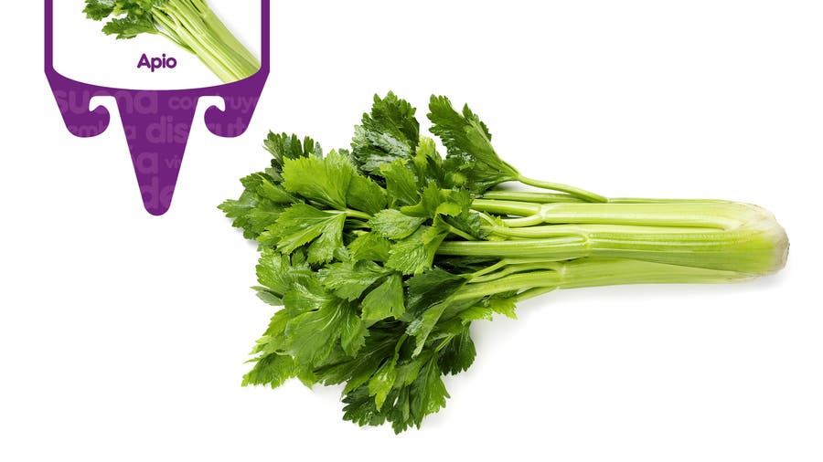 ¿Cómo cuidar y cultivar apio? | Leroy Merlin