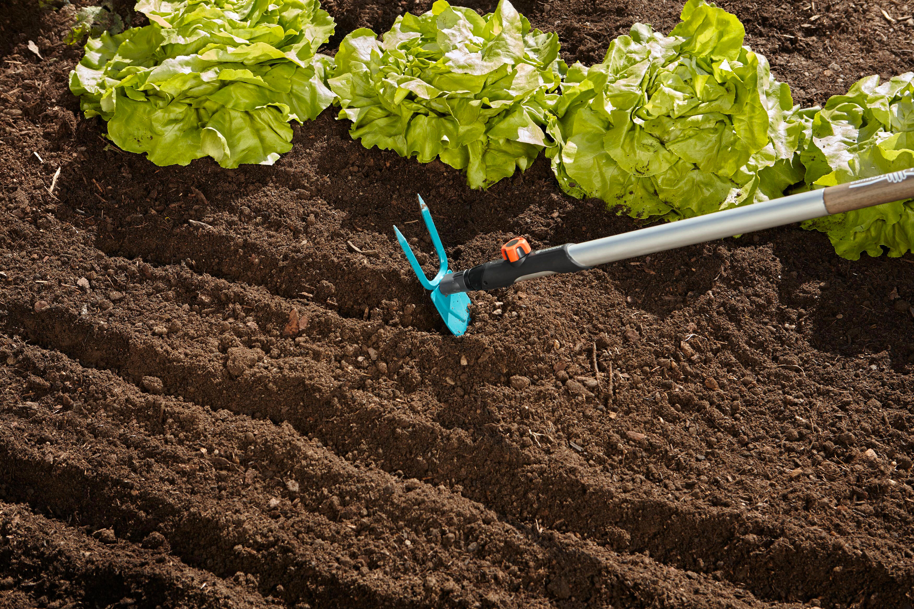 Cómo elegir una azada | Leroy Merlin