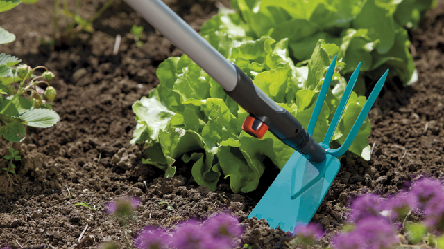Cómo elegir herramientas mantenimiento de tu jardín | Leroy Merlin
