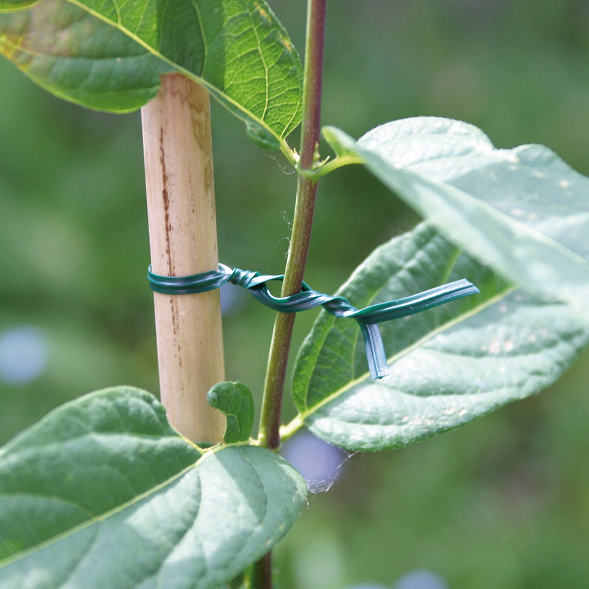 Intermas | Leroy Merlin